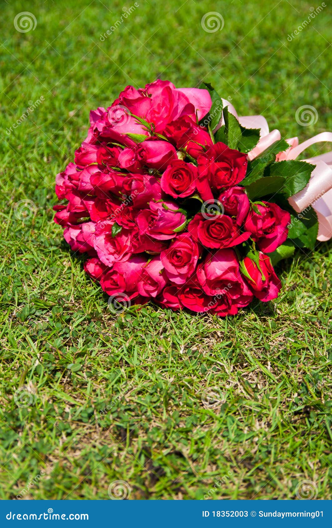 Bouquet of Rose on the Lawn Stock Image - Image of grass, botany: 18352003
