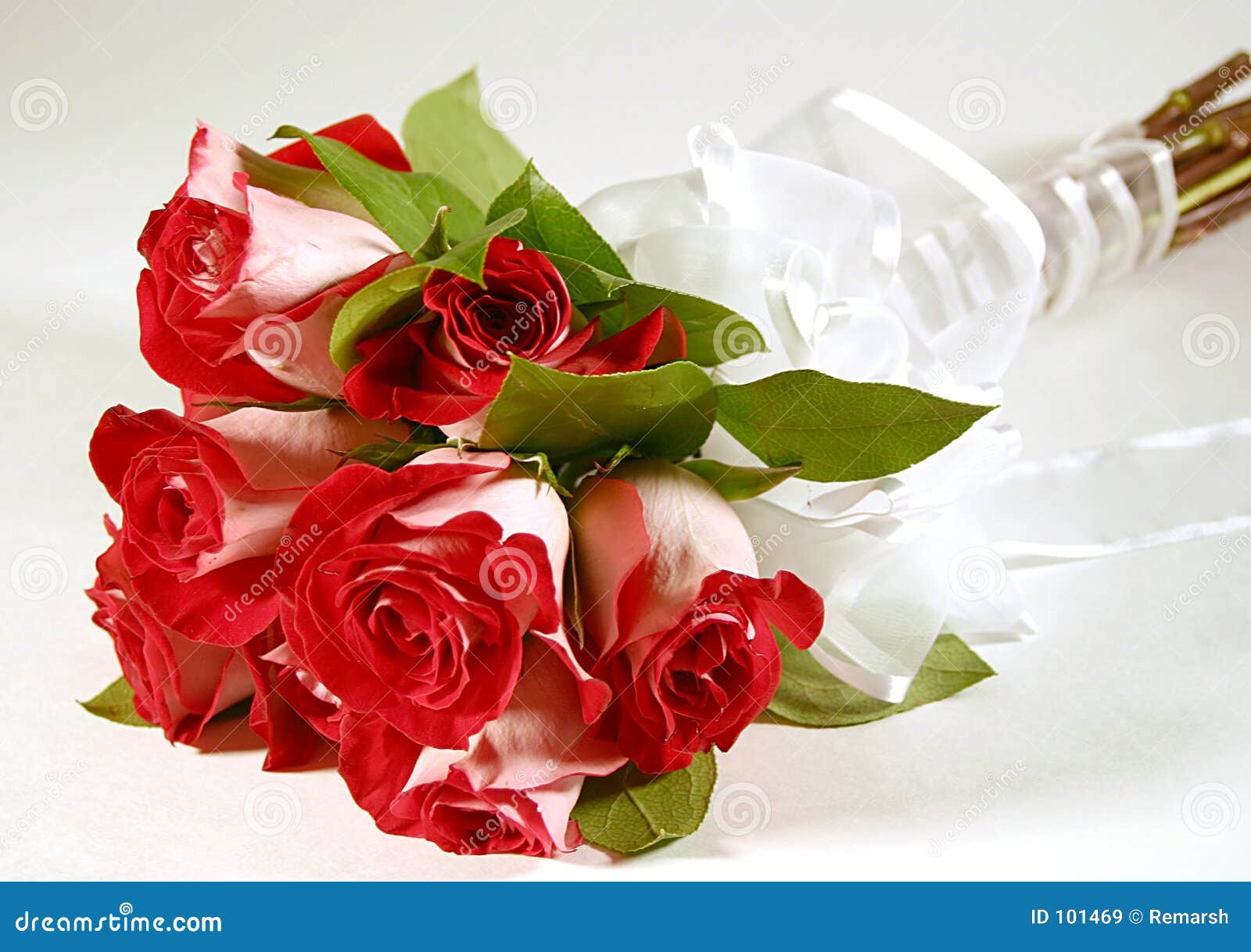 Bouquet of Roses stock image. Image of passion, abstract - 101469