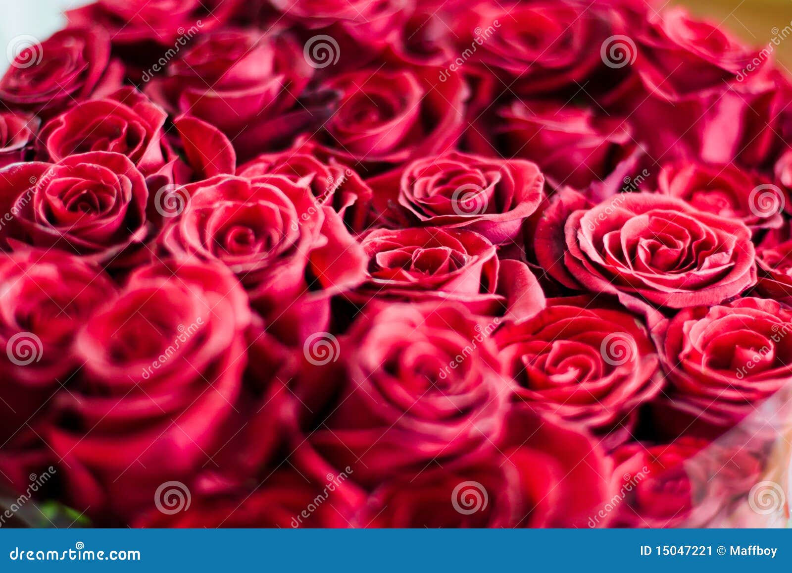 Bouquet of roses stock image. Image of bloom, colorful - 15047221
