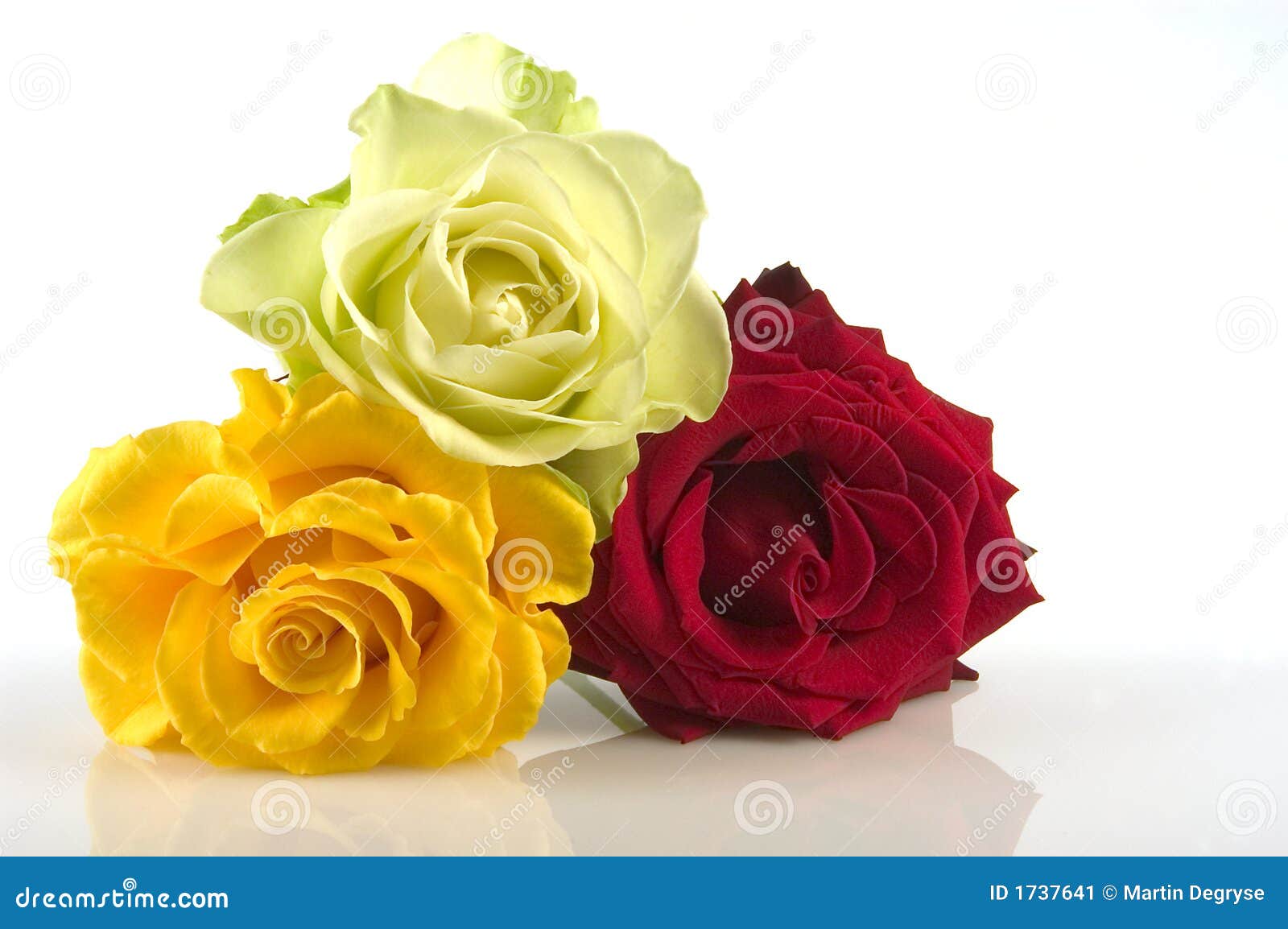 Bouquet roses stock image. Image of valentine, bouquet - 1737641