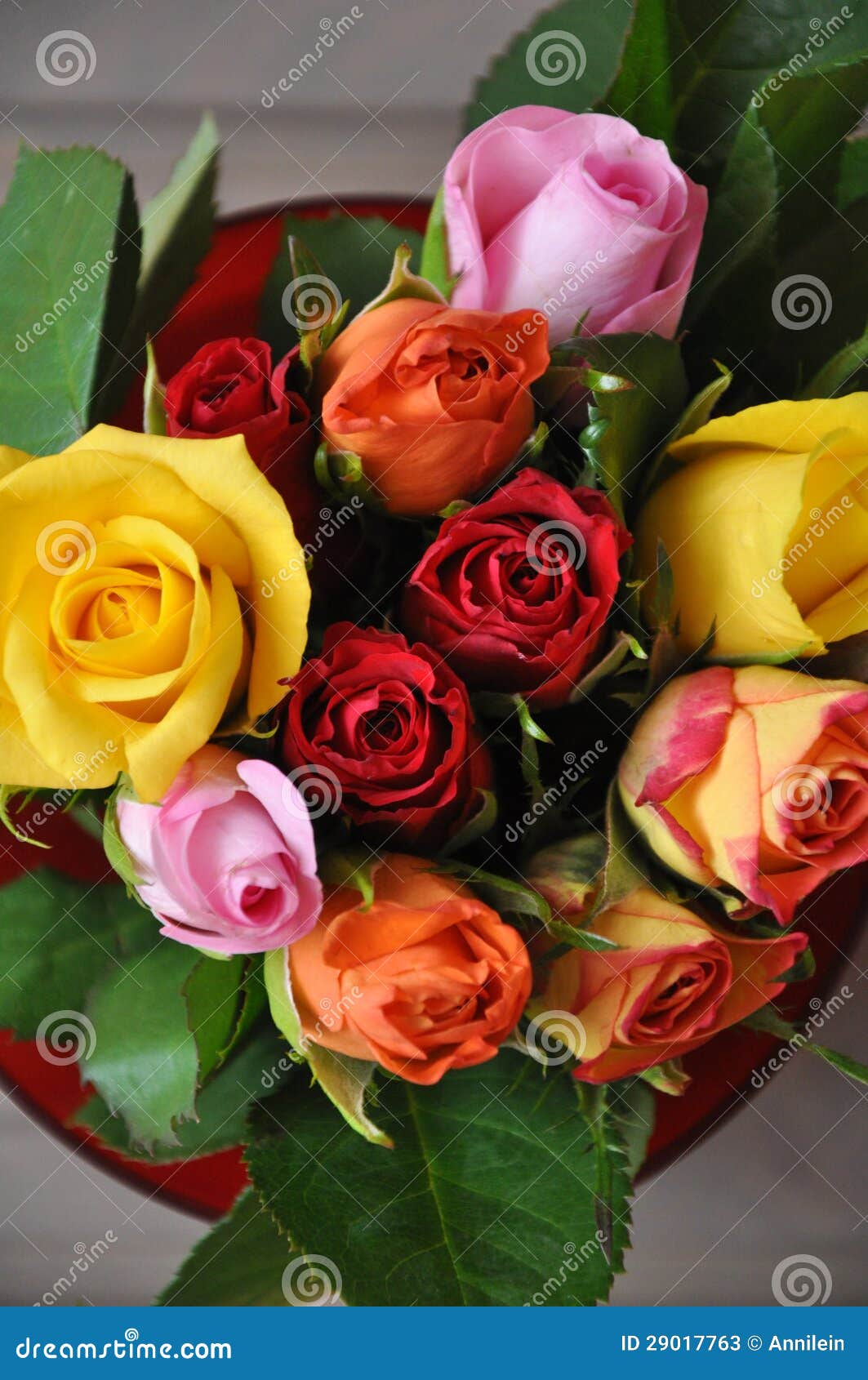 Bouquet of roses stock image. Image of bloom, botanical - 29017763