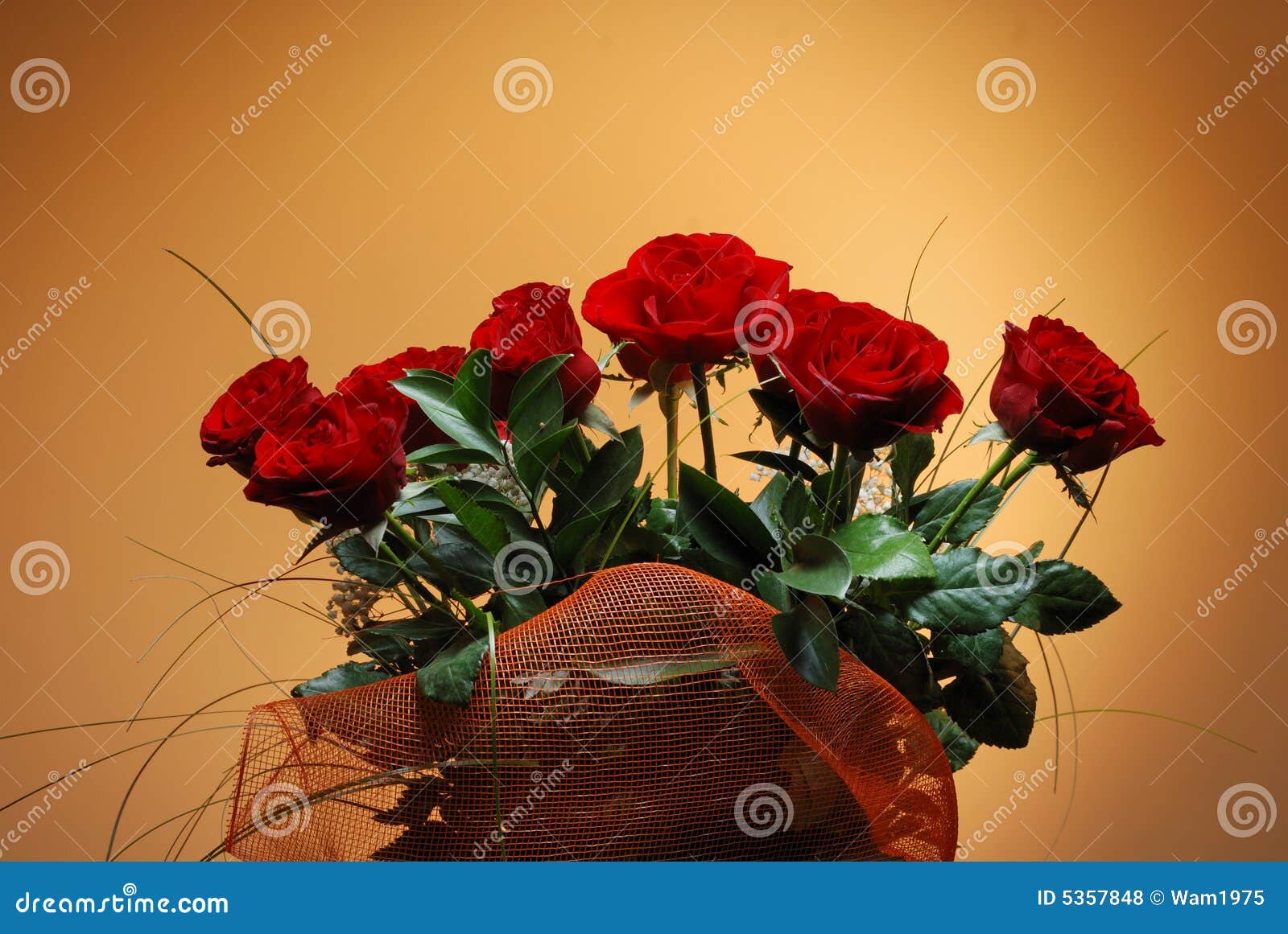 Bouquet of Roses stock photo. Image of flower, group, bouquet - 5357848