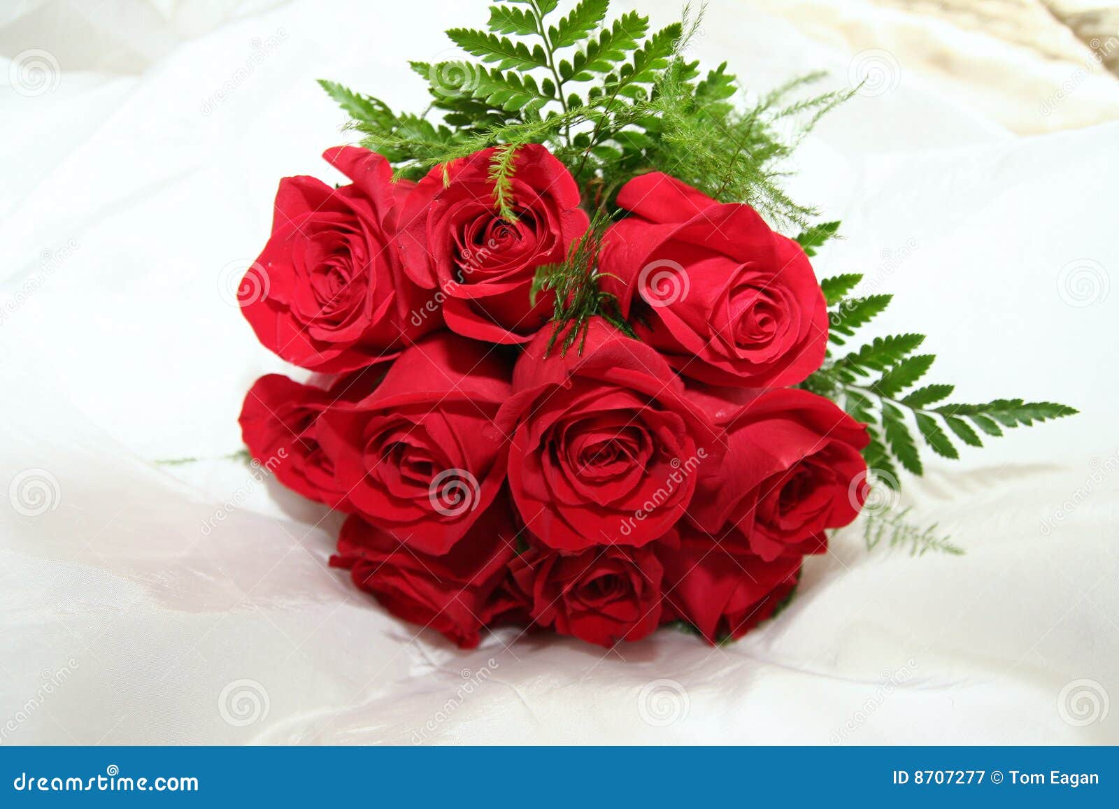 Bouquet of Roses stock image. Image of floral, bouquet - 8707277