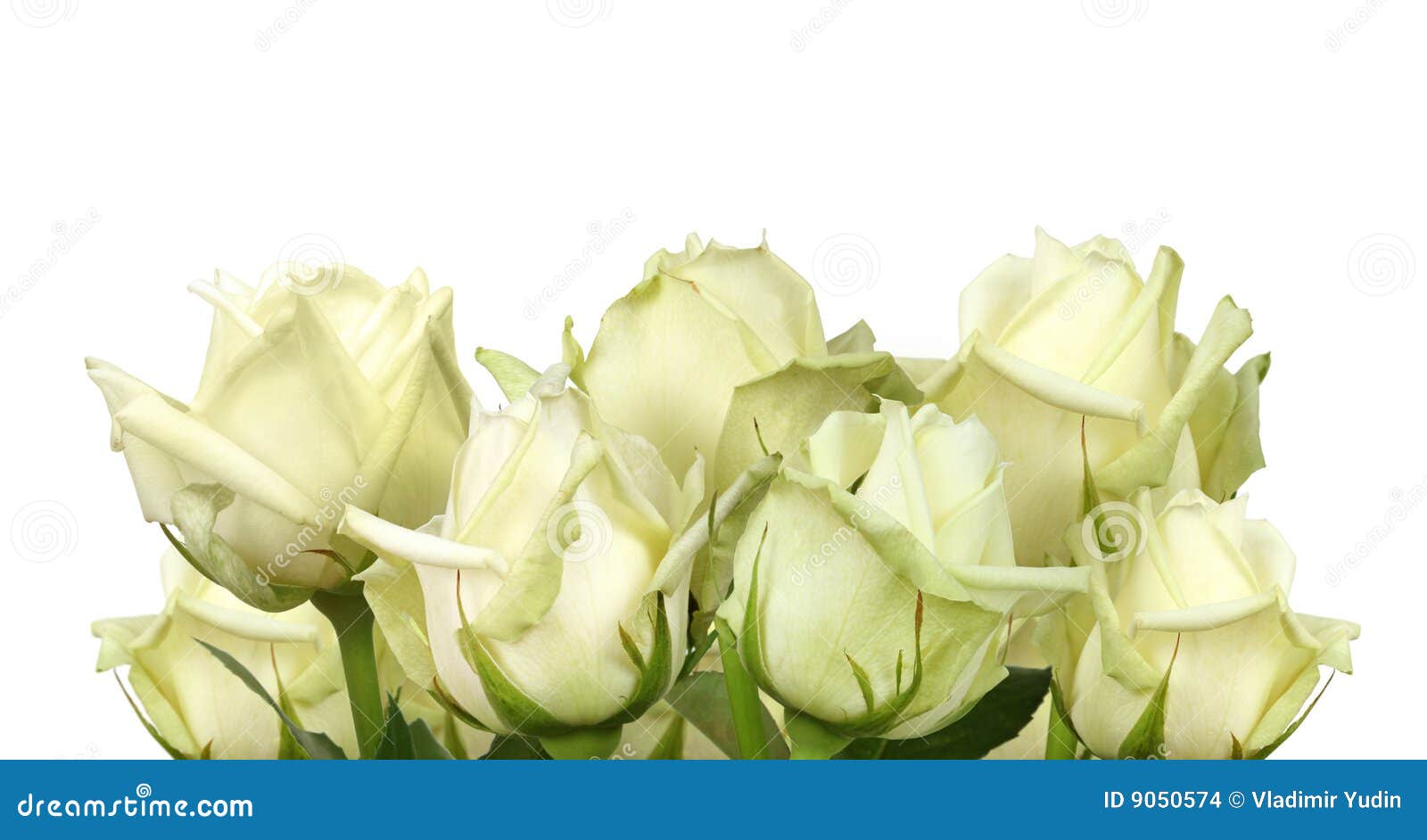 Flowerses Bouquet Roses Stock Photos - Free & Royalty-Free Stock Photos ...