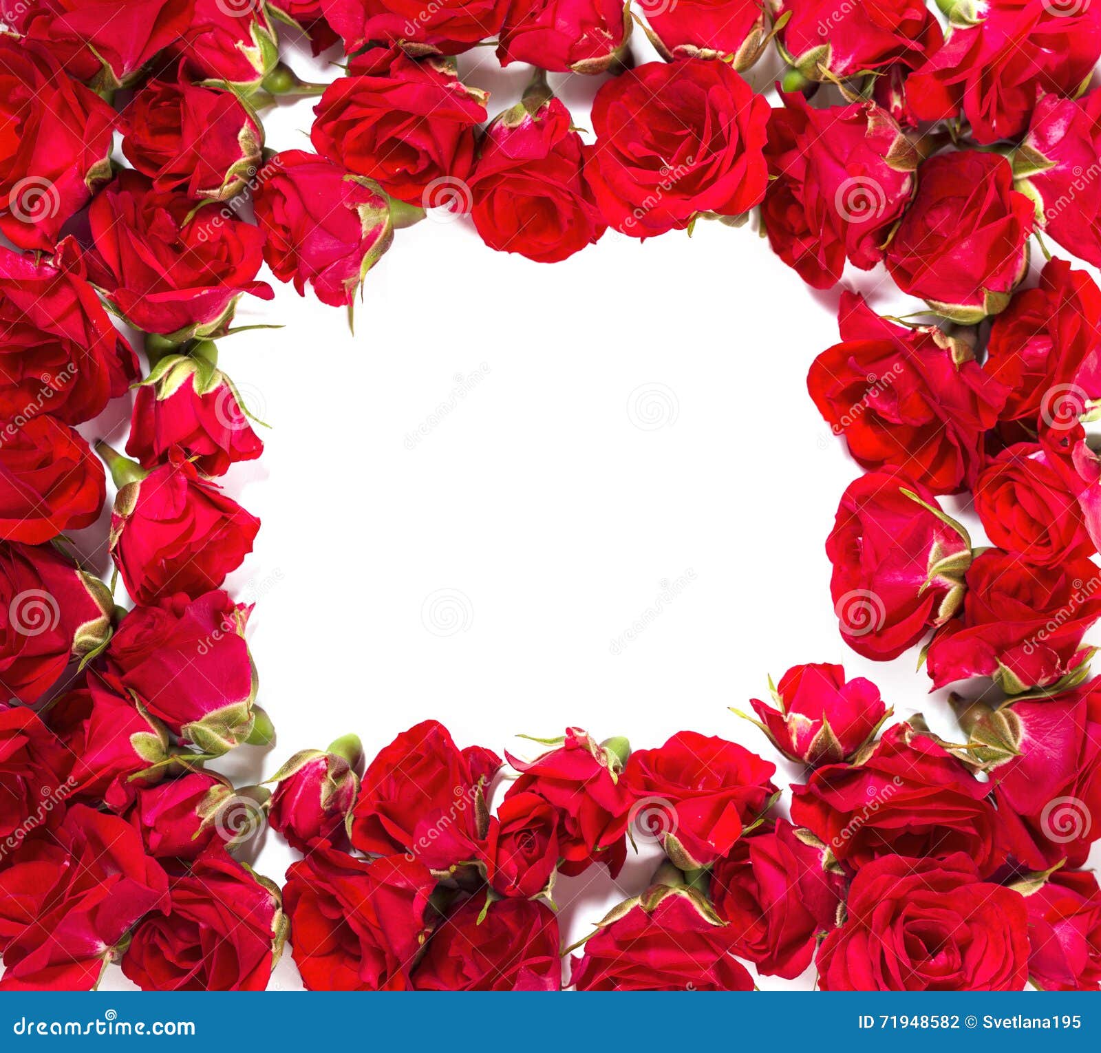 Bouquet of Roses Arranged To Form a Frame or Design Element for Floral ...