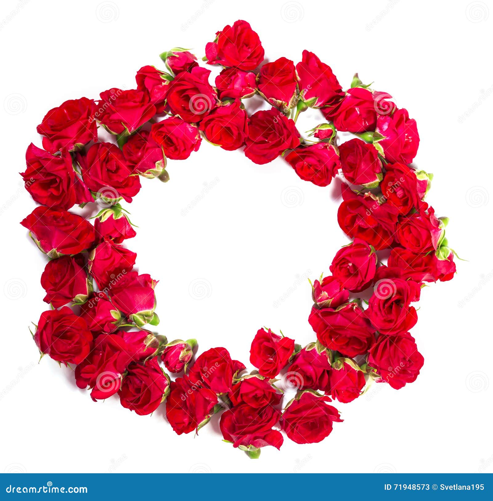 Bouquet of Roses Arranged To Form a Ring or Design Element for Floral ...