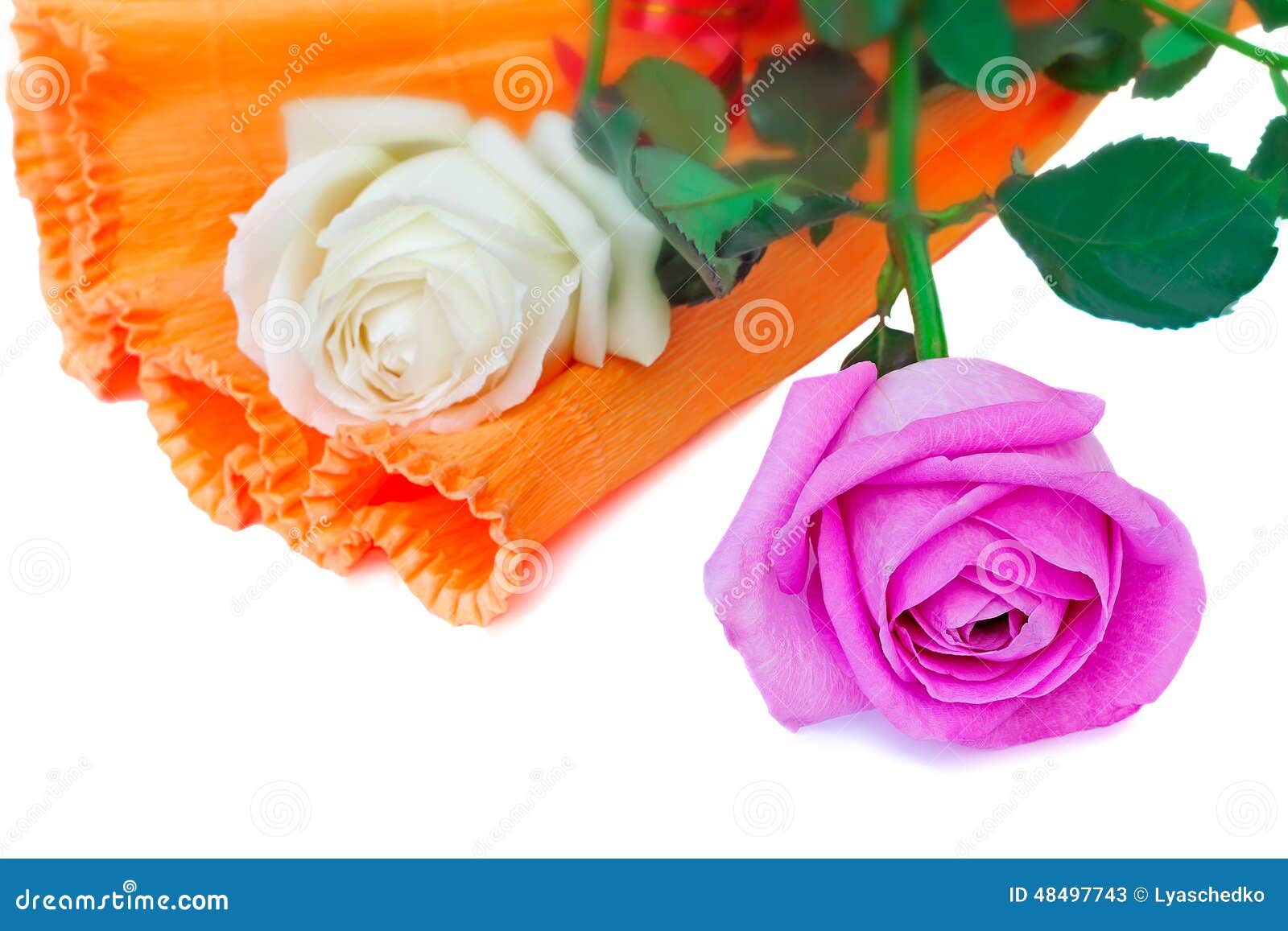 Bouquet of Roses in a Beautiful Package on a White Background. Stock ...