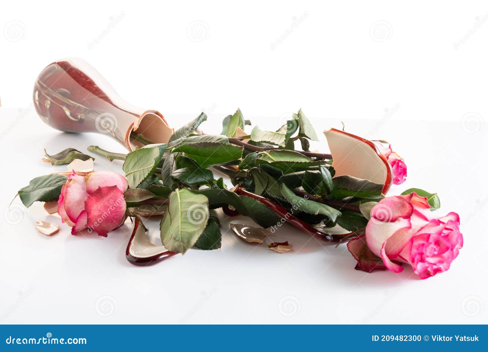 A Bouquet of Roses in a Broken Vase. Spoiled Flowers in a Vase. Broken ...