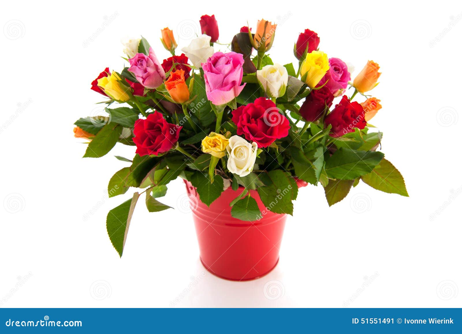 Bouquet roses in bucket stock image. Image of bucket - 51551491