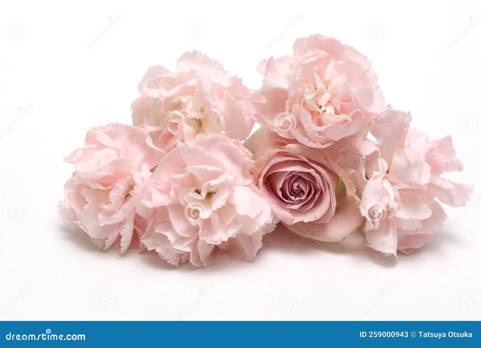 Bouquet of Roses and Carnation Isolated on a White Background. Stock ...