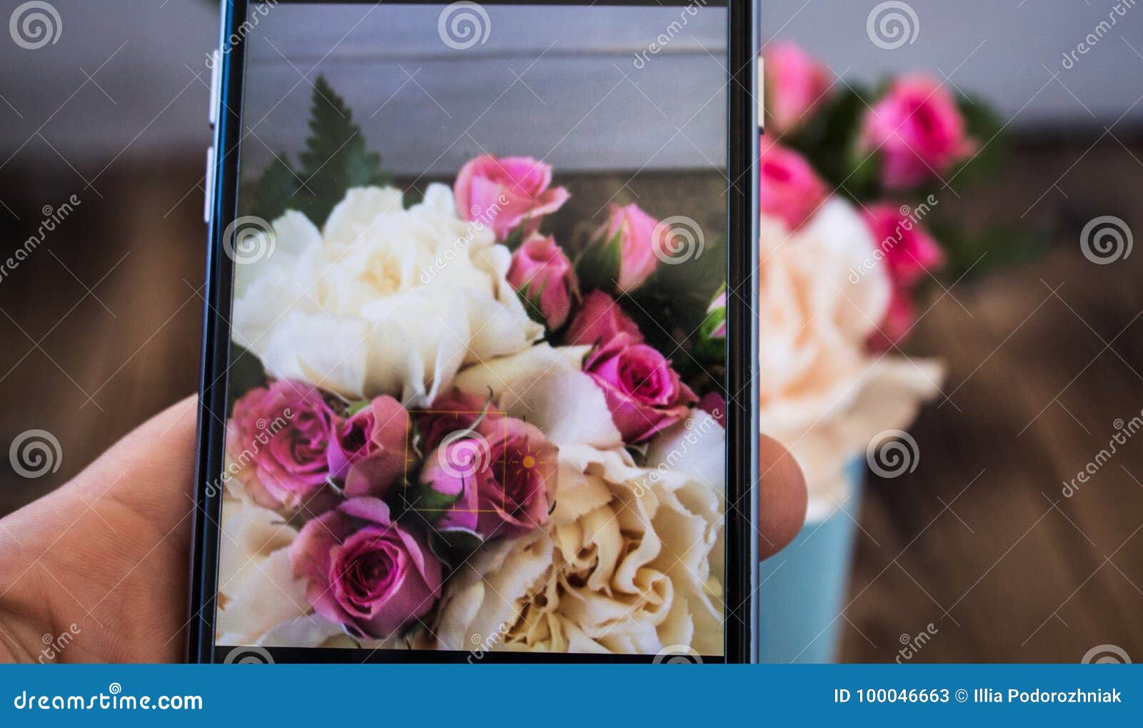 Bouquet of Roses on a Cell Phone Screen Stock Image - Image of copy ...