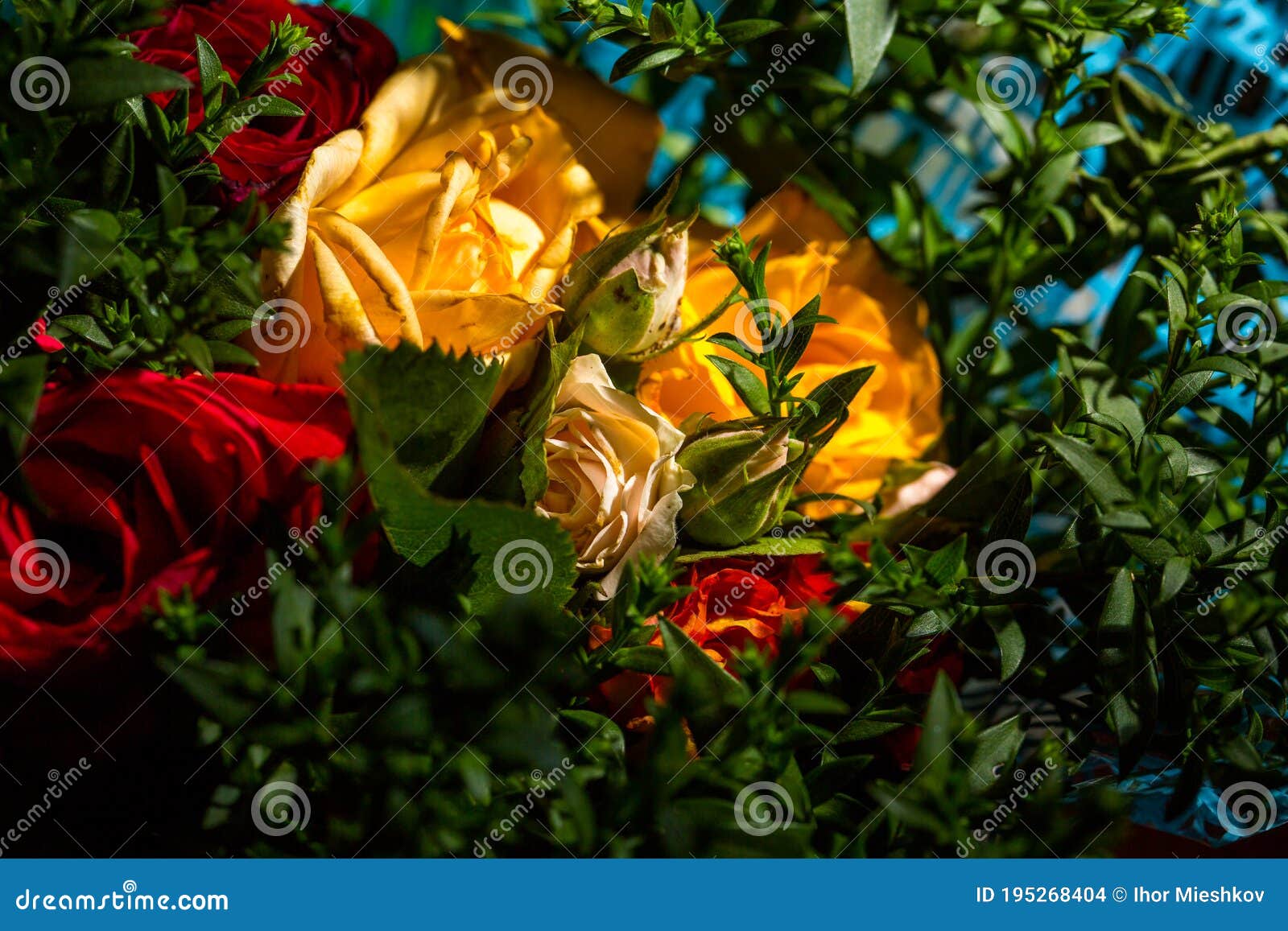 Bouquet of Roses of Different Colors Close Stock Photo - Image of ...