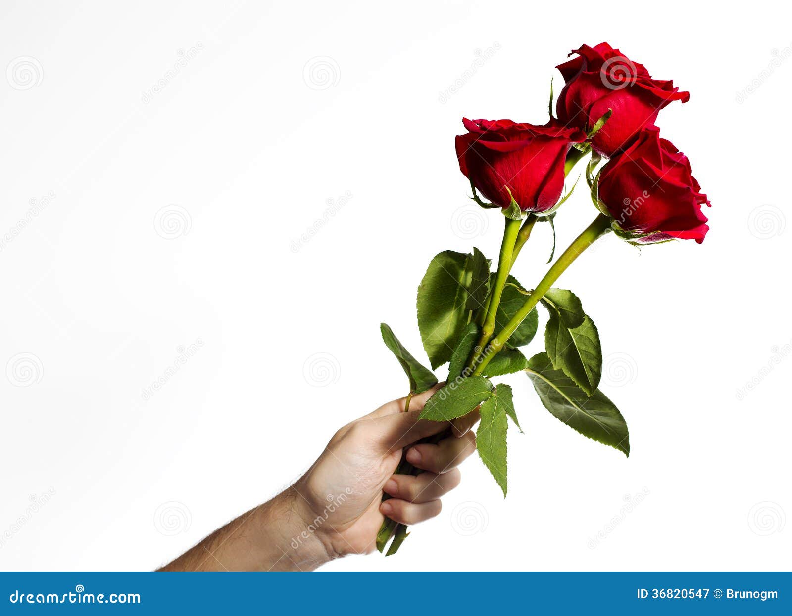 Bouquet of roses stock image. Image of gril, husband - 36820547