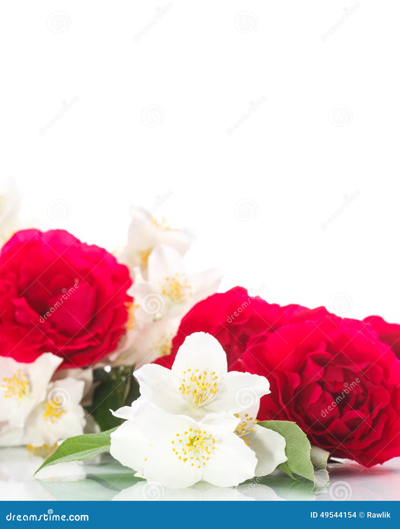 Bouquet of Roses and Jasmine Stock Photo - Image of beauty, beautiful ...