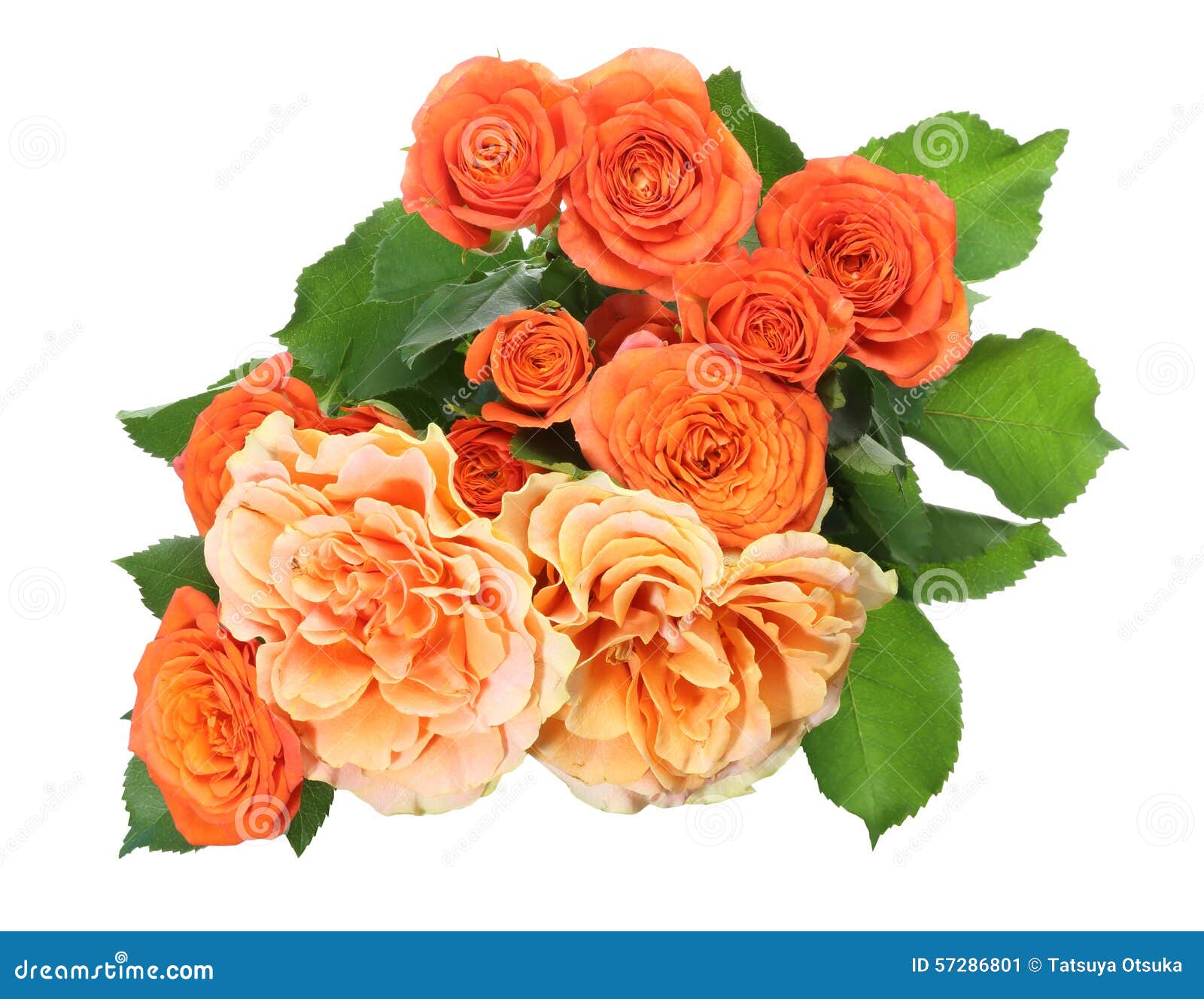 Bouquet of Roses with Leaves Stock Image - Image of vivid, shot: 57286801