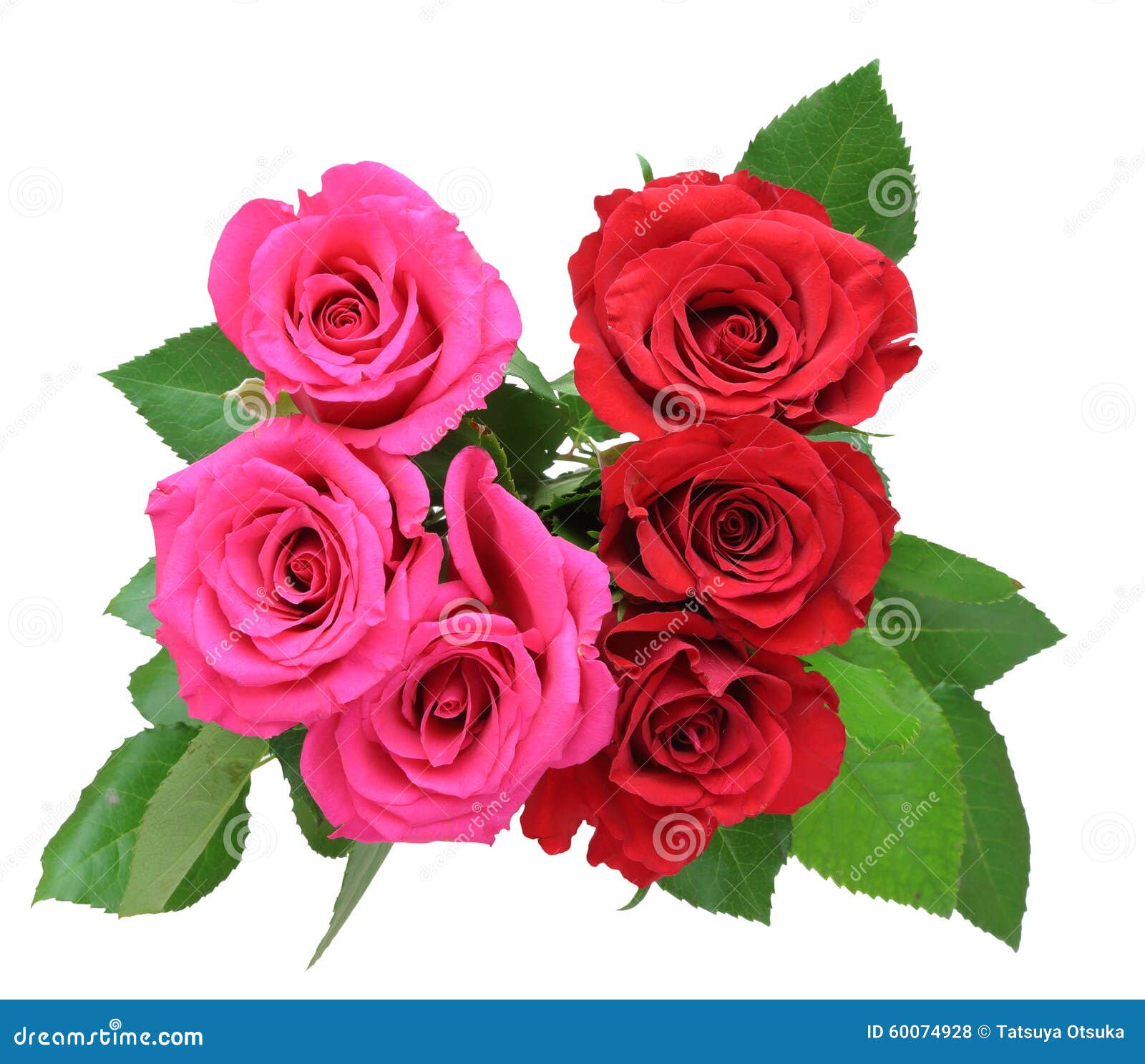 Bouquet of Roses with Leaves Stock Photo - Image of white, vivid: 60074928