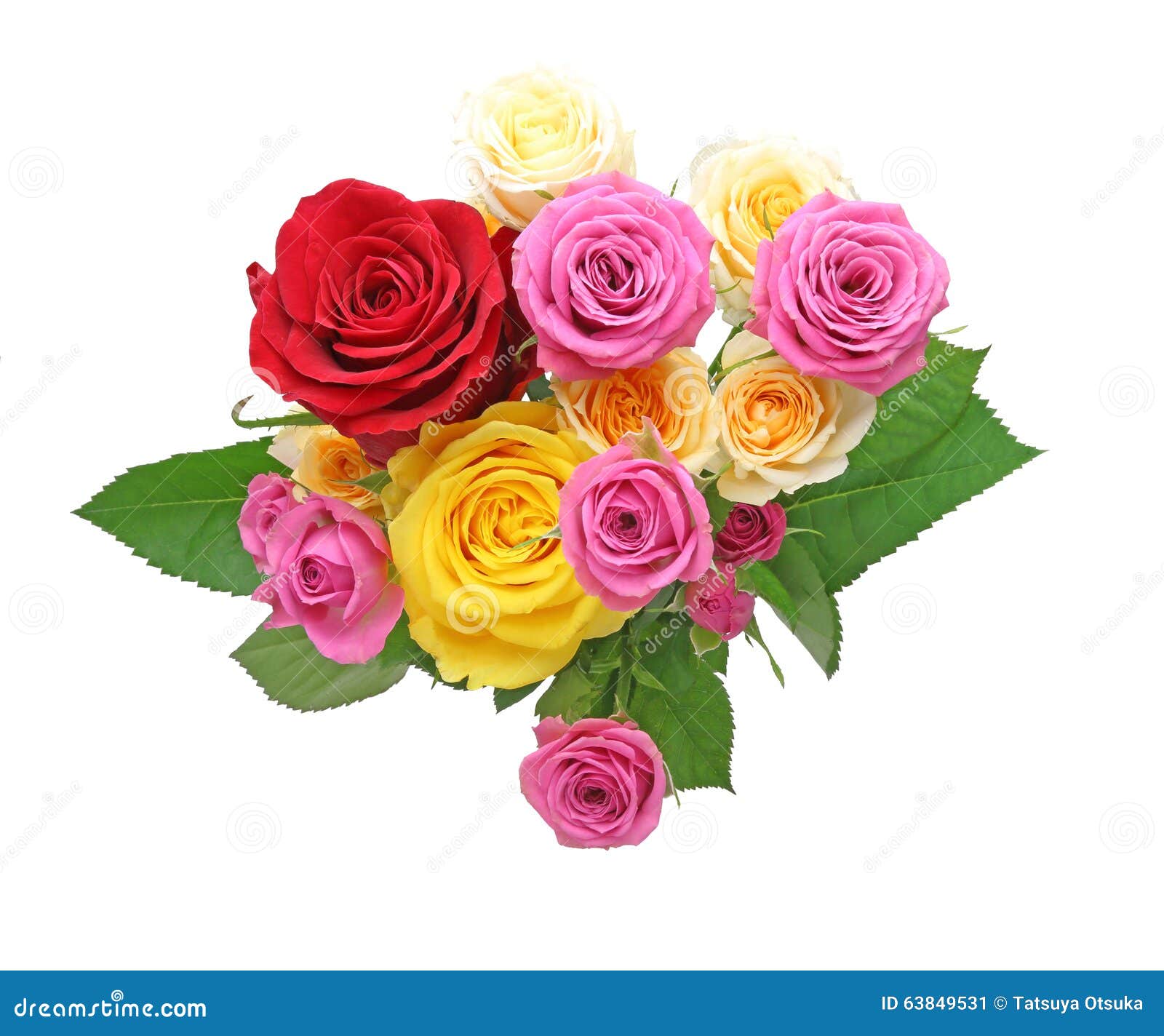 Bouquet of Roses with Leaves Stock Image - Image of leaf, vivid: 63849531
