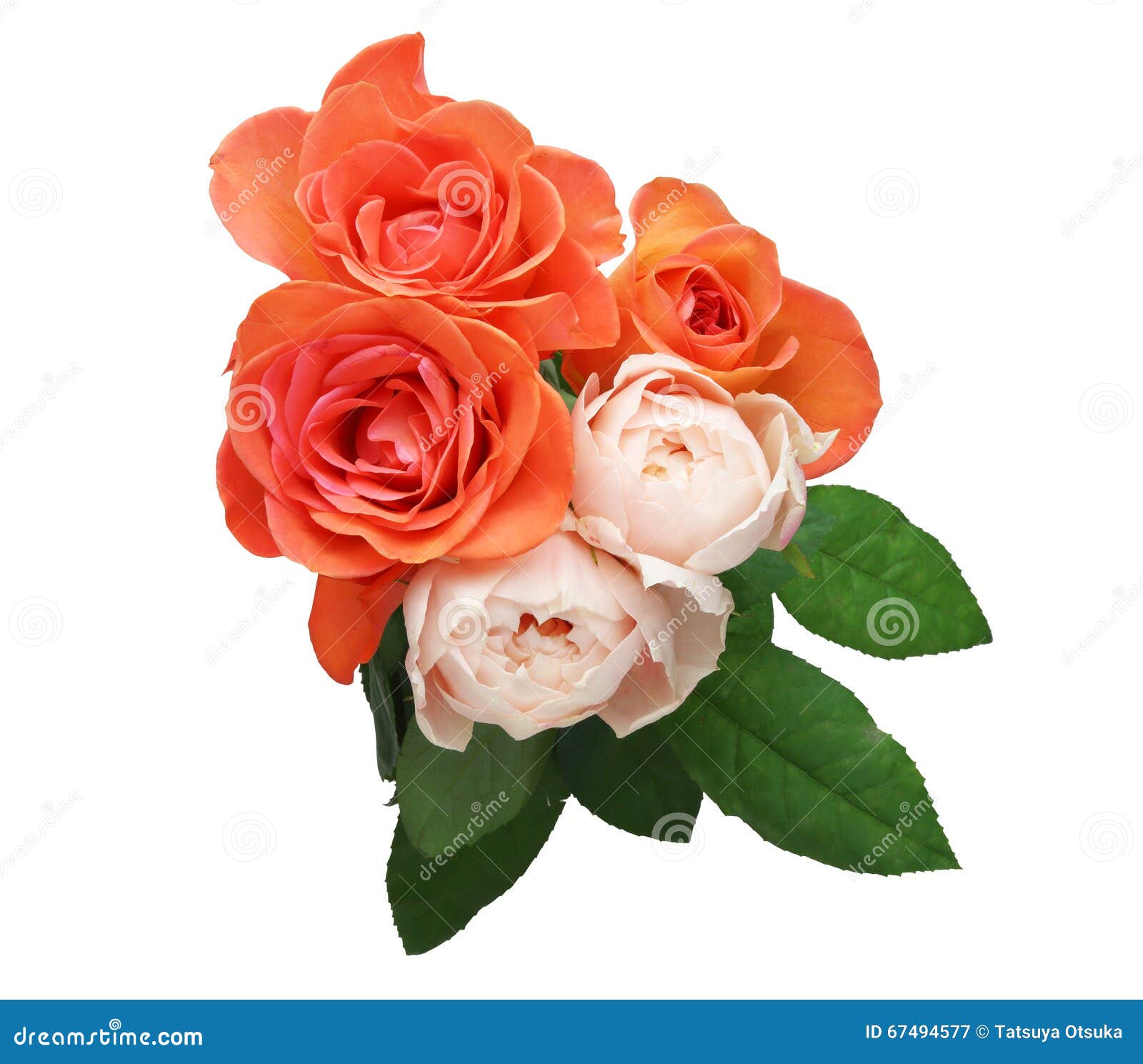 Bouquet of Roses with Leaves Stock Image - Image of bouquet, isolated ...