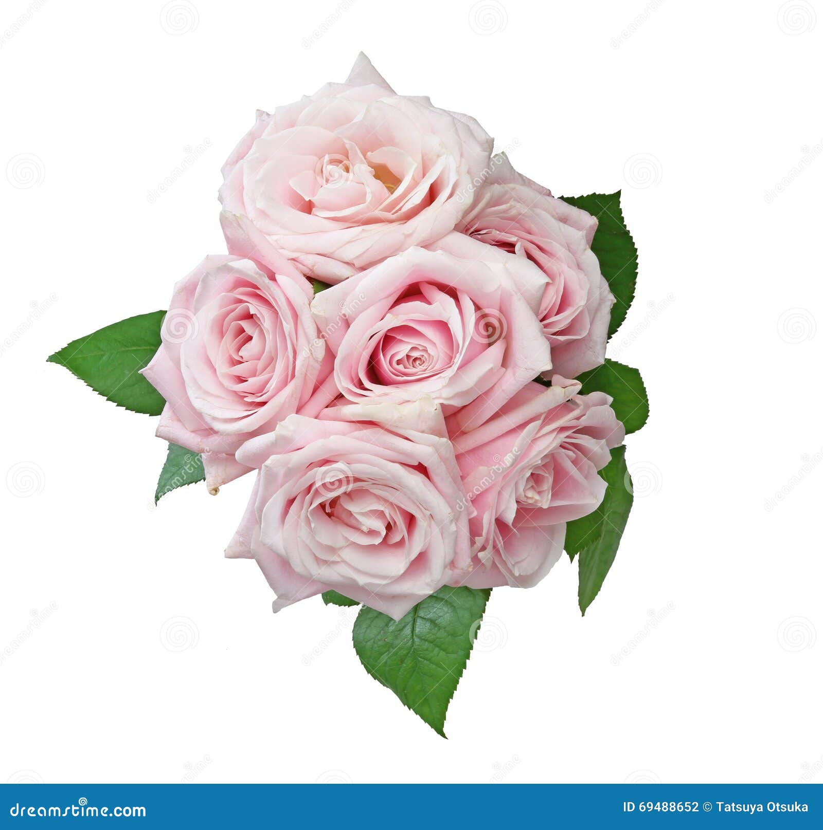 Bouquet of Roses with Leaves Stock Photo - Image of beautiful, bouquet ...