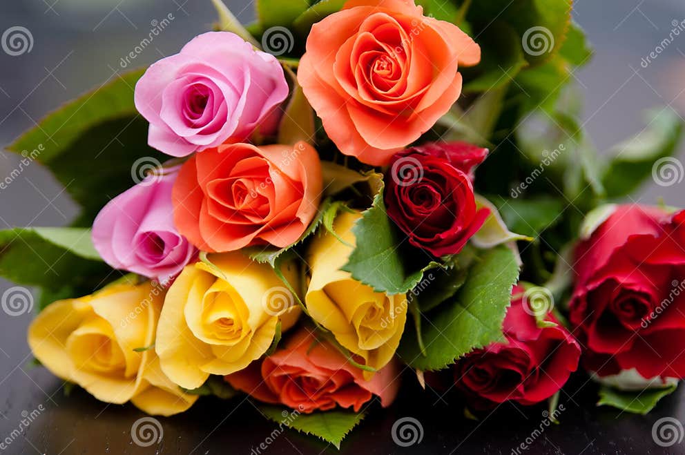 Bouquet of roses stock image. Image of colorful, love - 37194765
