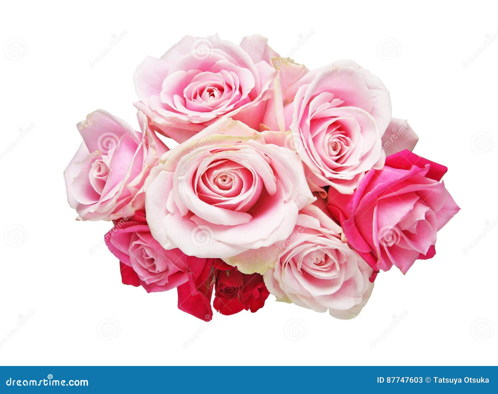 Bouquet of roses stock image. Image of present, flower - 87747603