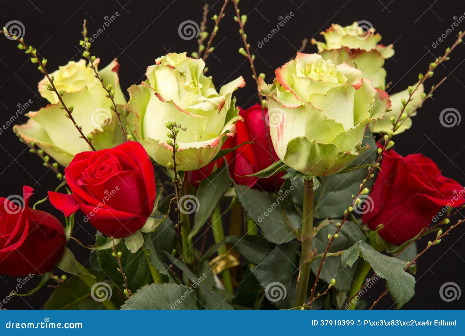 A bouquet of roses stock image. Image of bouquet, redtip - 37910399