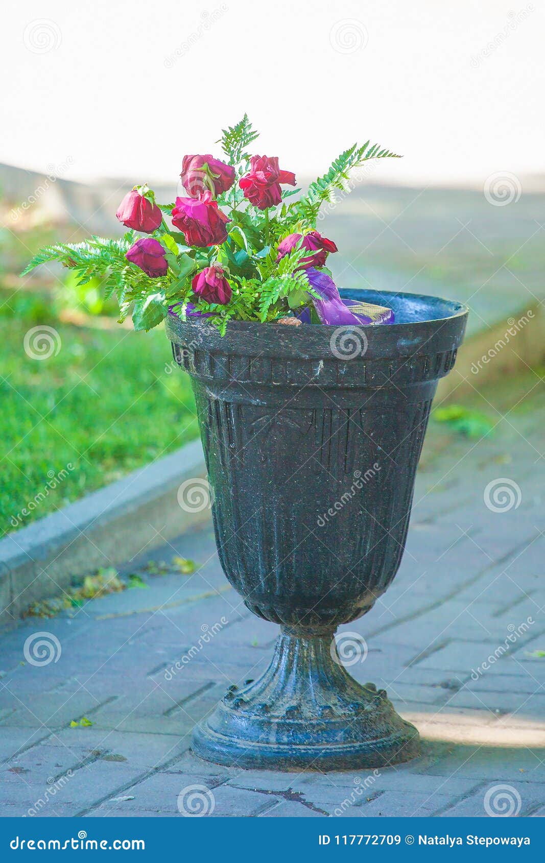 A Bouquet of Roses Thrown into the Urn Stock Image - Image of gift ...