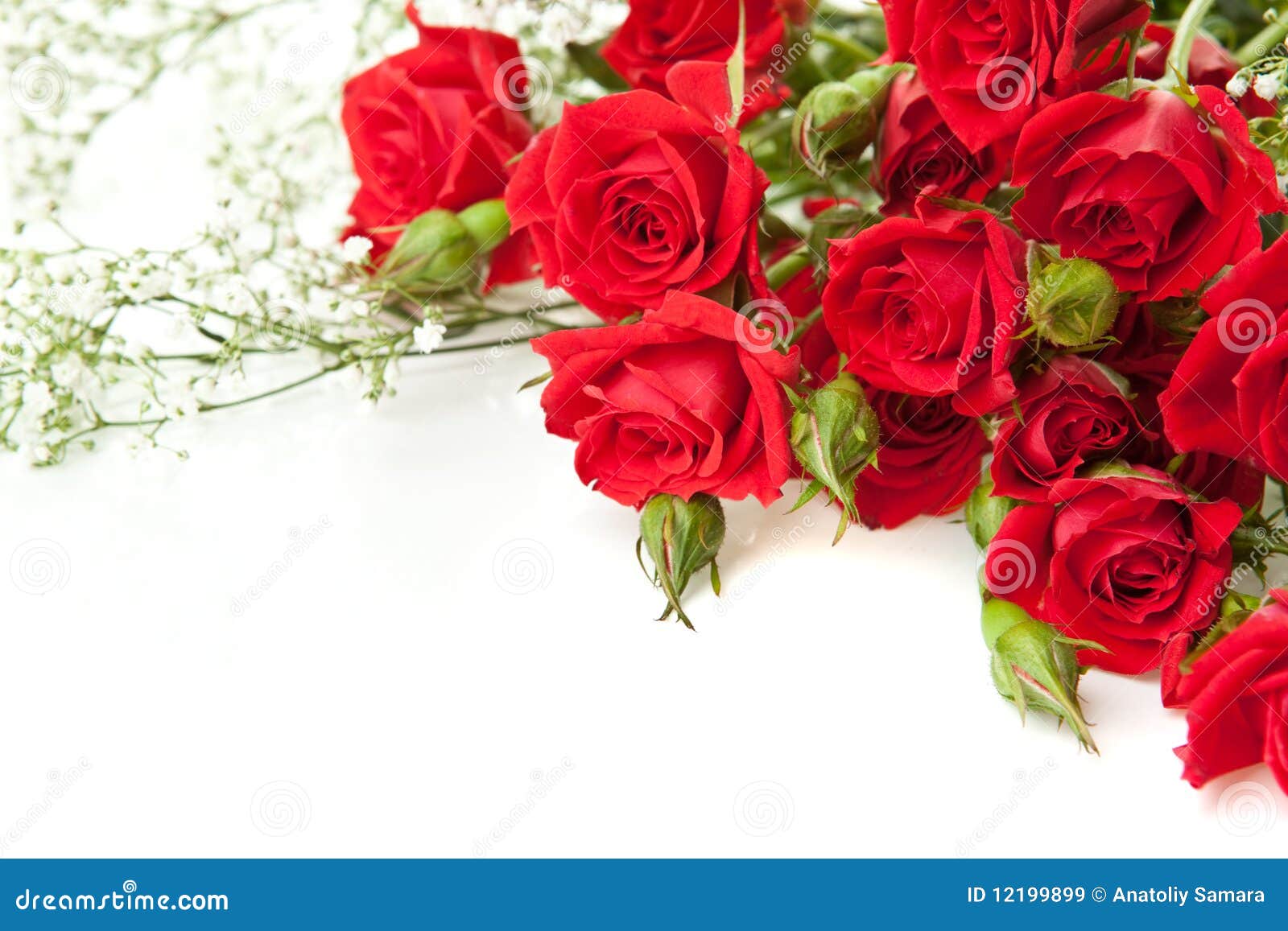 Bouquet rouge de roses image stock. Image du fond, fête - 12199899