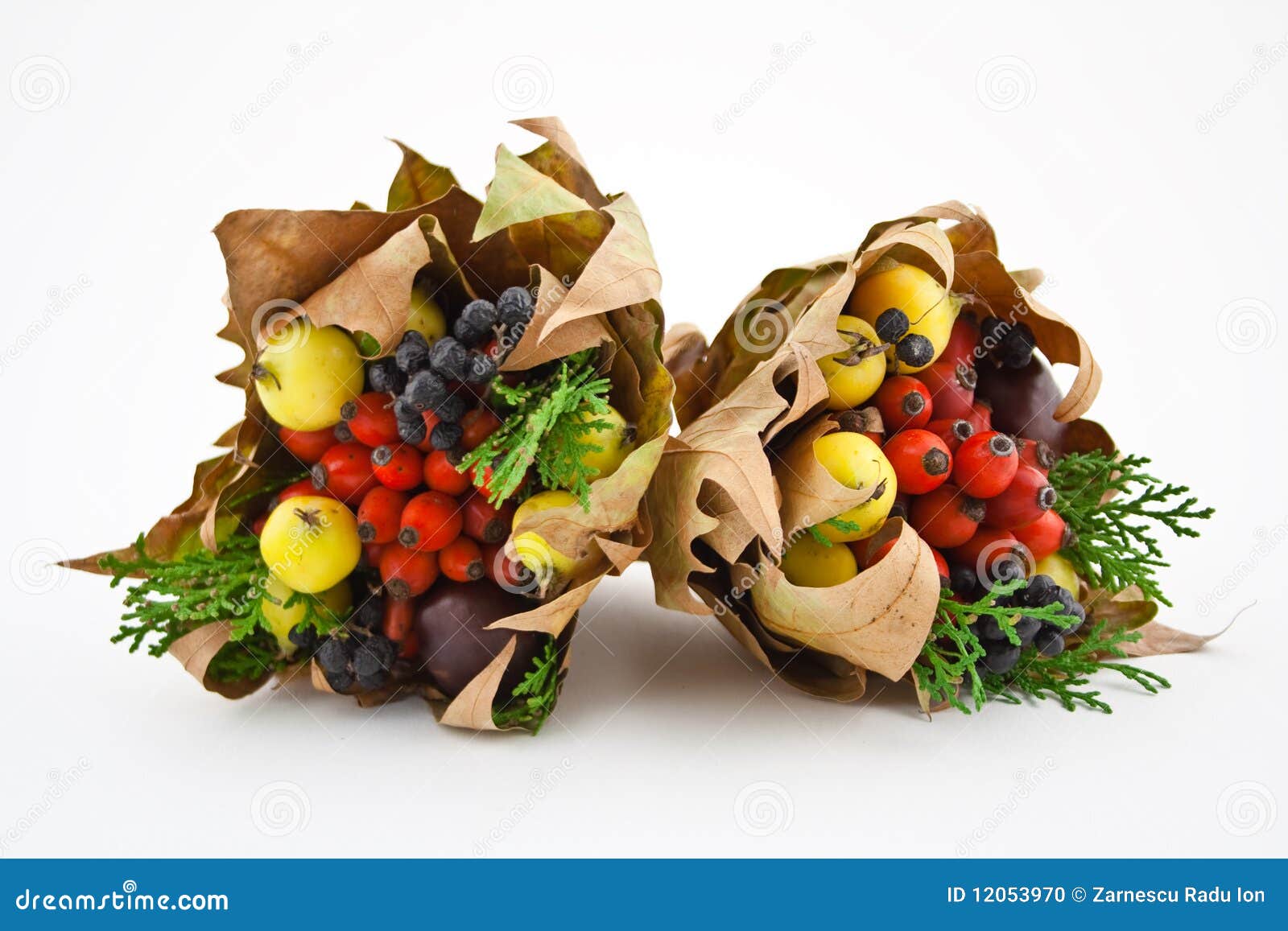 Bouquet Sauvage De Fruit D'automne Photo stock - Image du blanc, saison ...