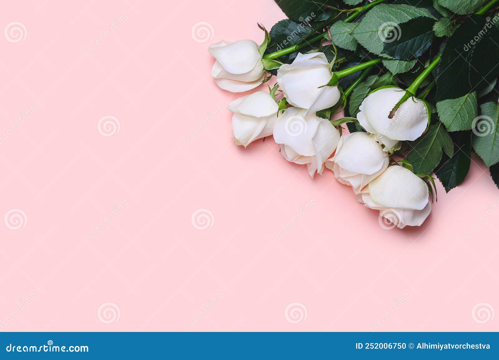 Bouquet of Seven Roses on a Pink Background, Copy Space Stock Photo ...
