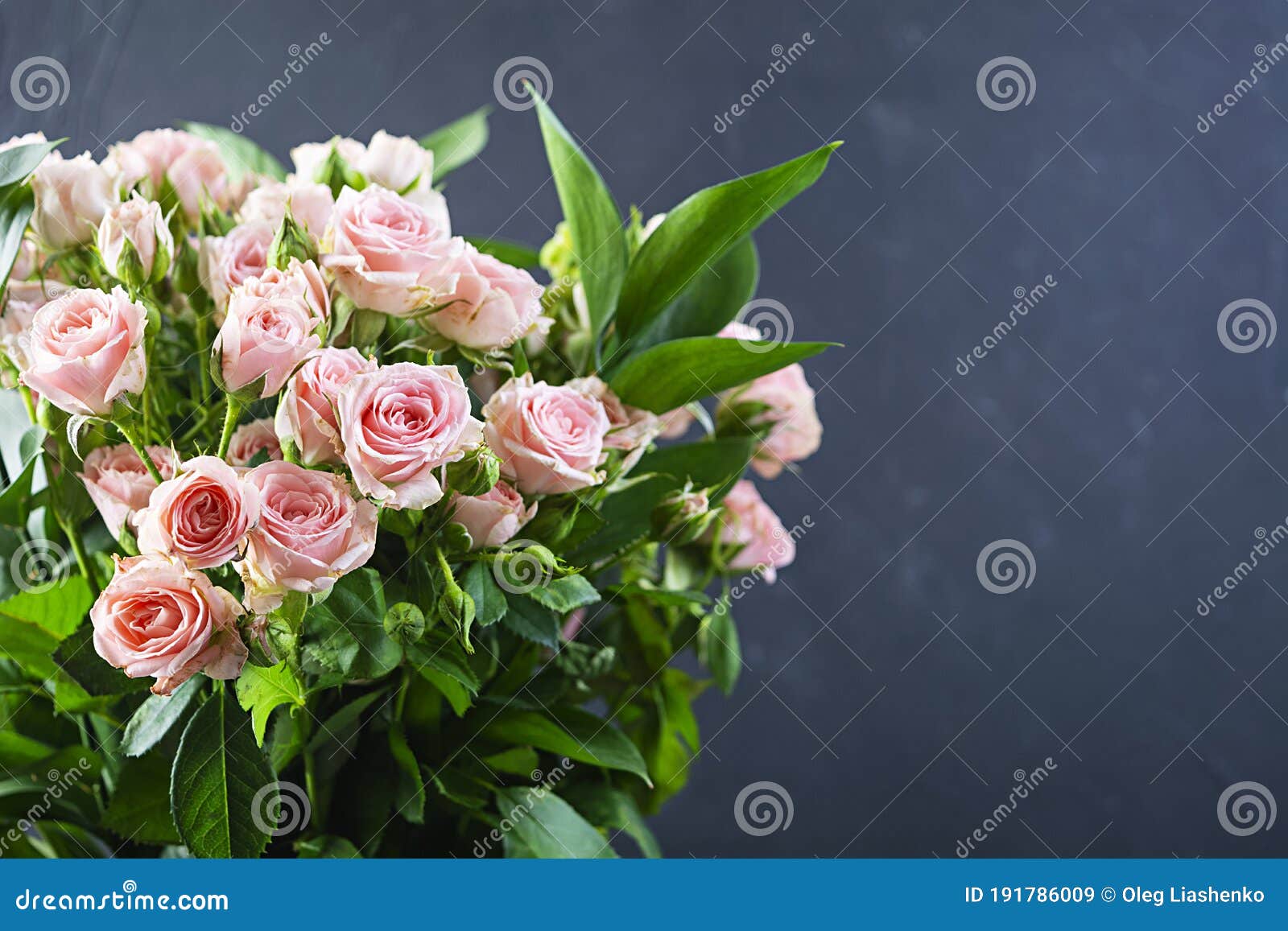 Bouquet of Several Branches of Pink Roses. Background of Pink Roses ...