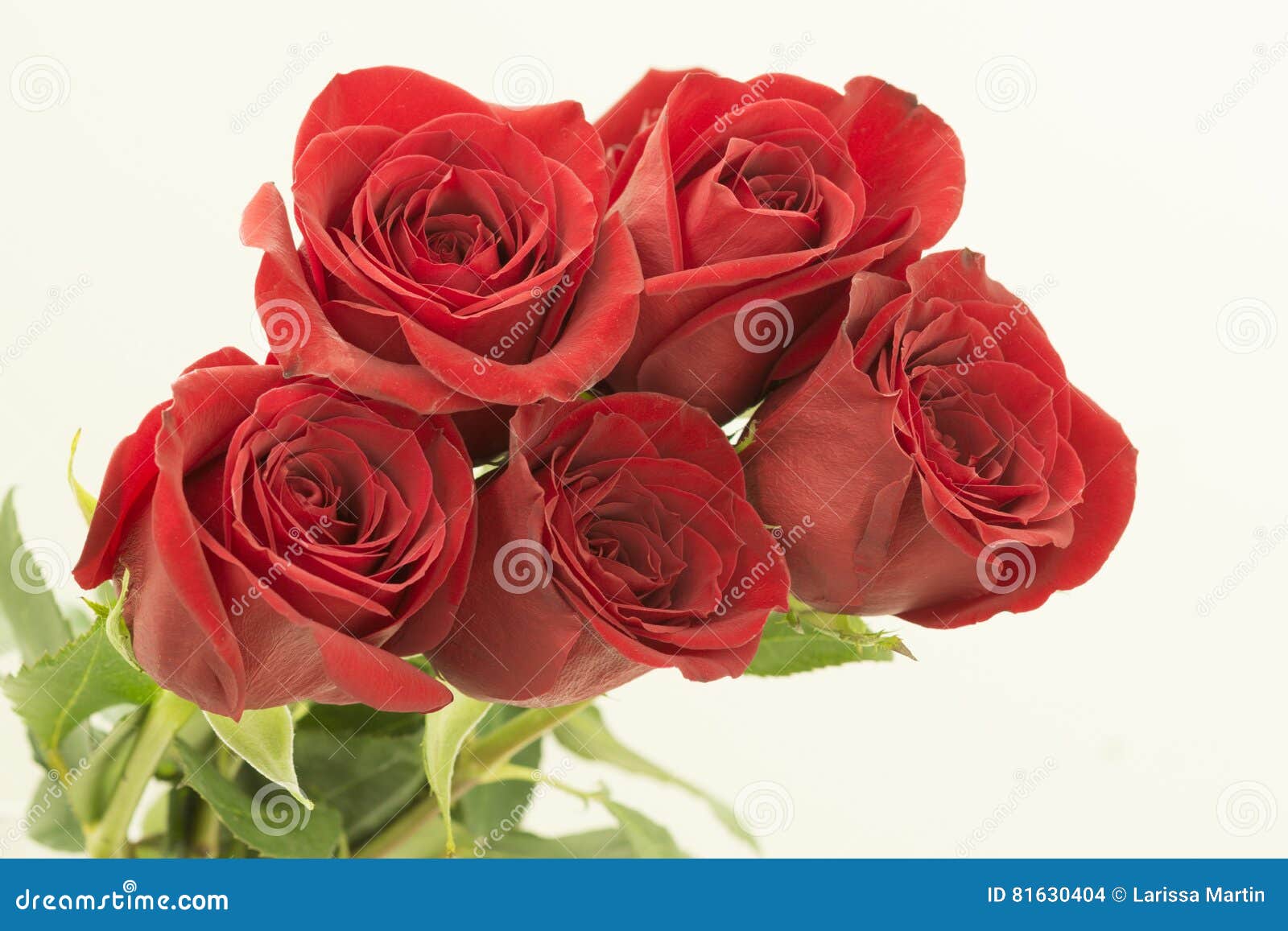 Bouquet of Several Red Roses Horizontal Stock Photo - Image of ...