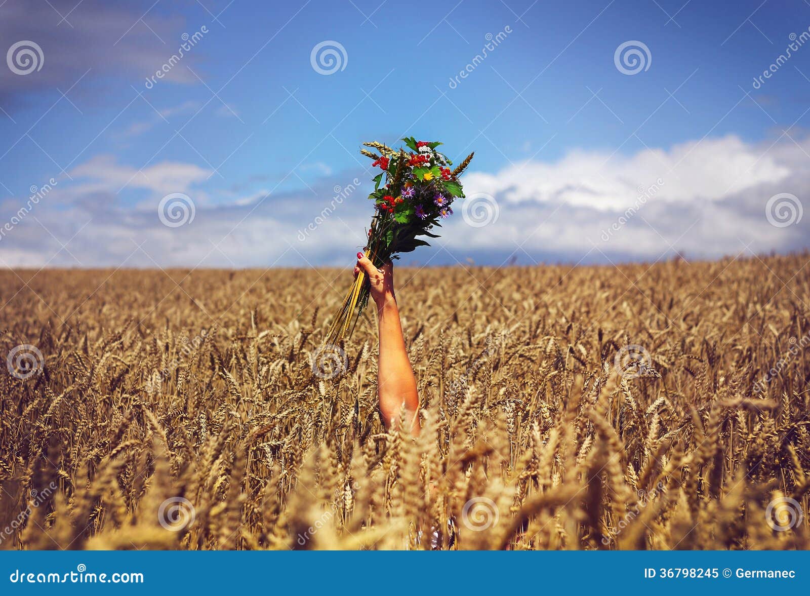 Bouquet stock image. Image of growth, beauty, life, straw - 36798245