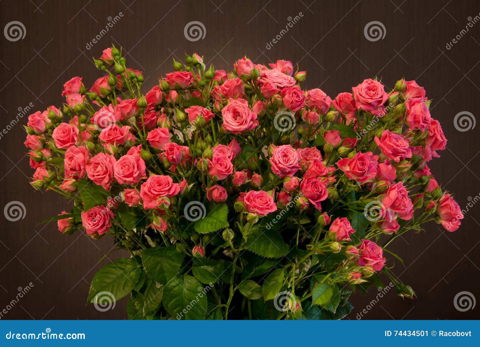 Bouquet of small red roses stock image. Image of decorative - 74434501