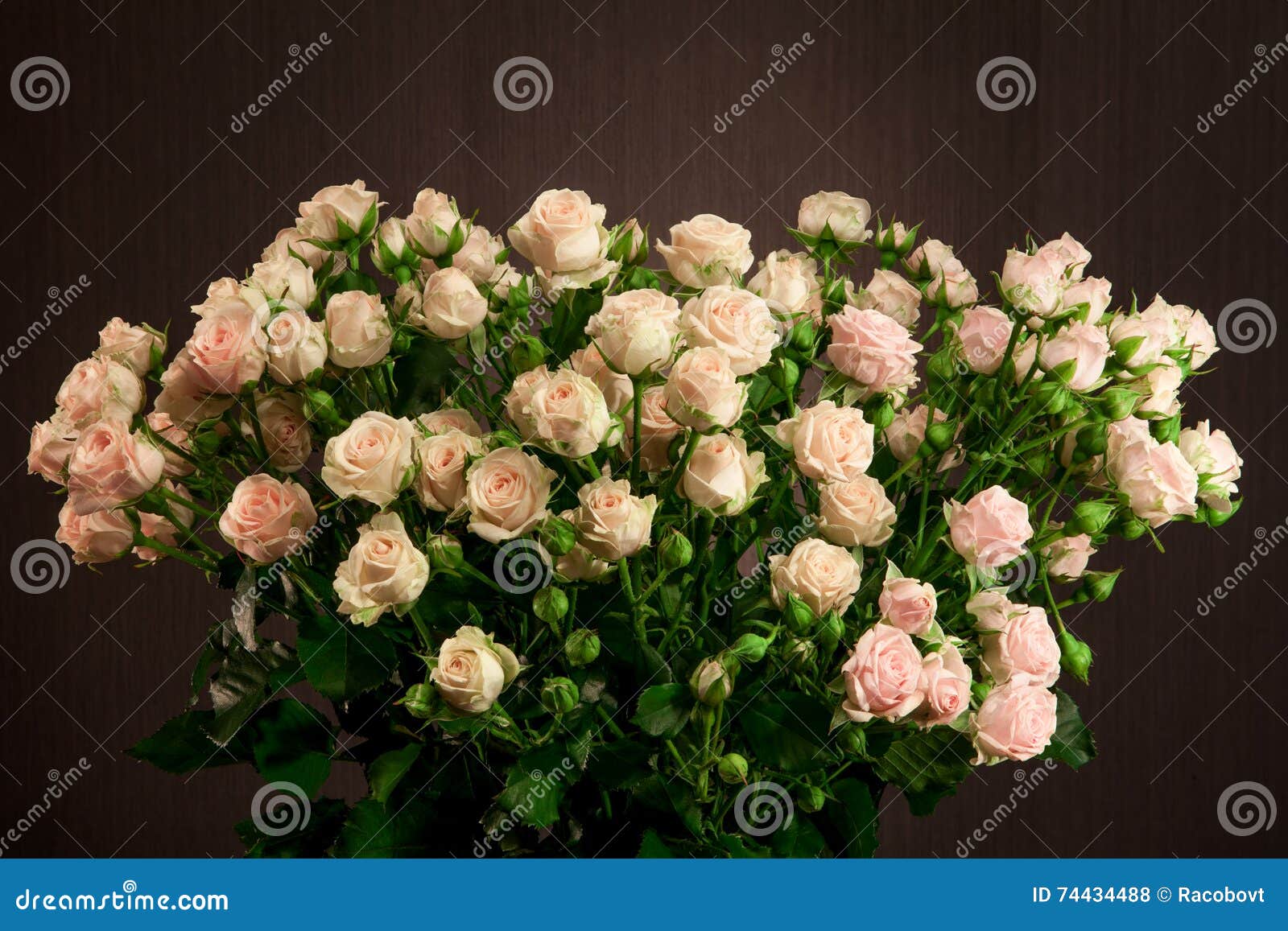 Bouquet of Small Roses Beige Stock Photo - Image of decorative, fresh ...