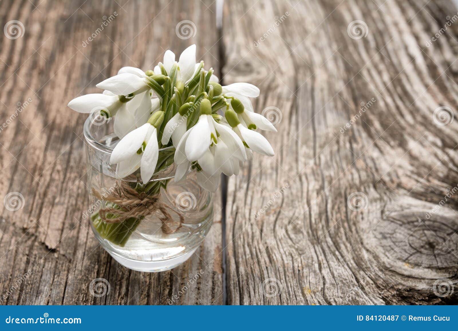 Bouquet of Snowdrops in Vase Stock Image - Image of floral, romantic ...