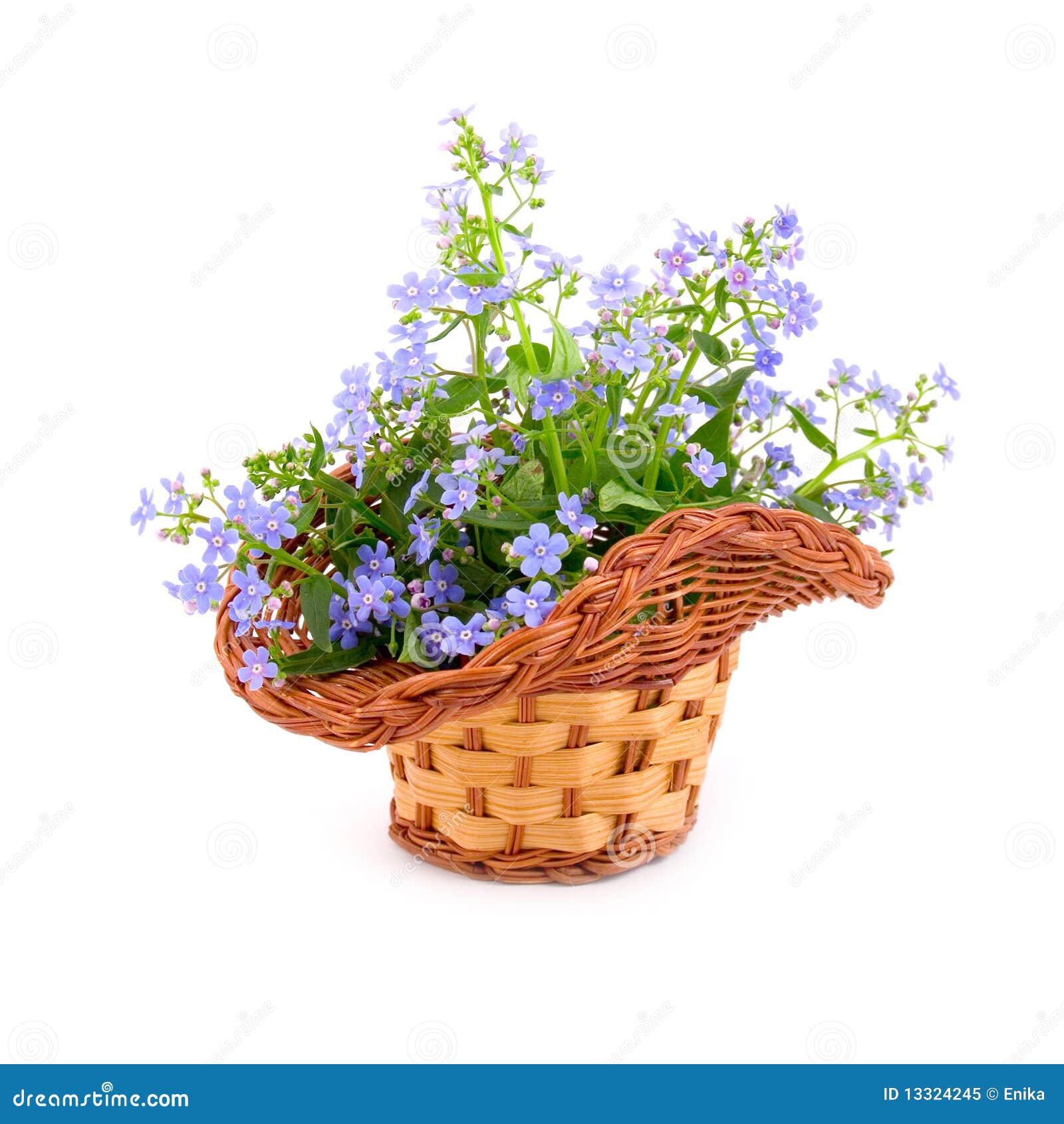 Bouquet of spring flowers stock image. Image of basket - 13324245