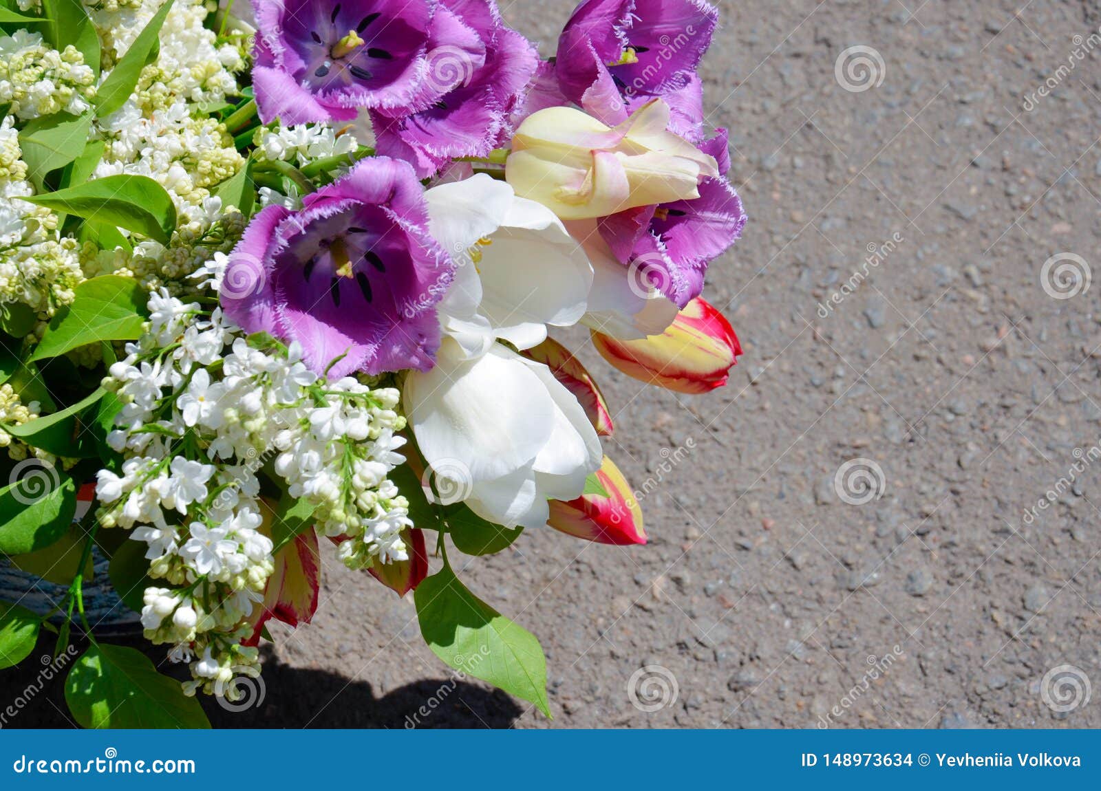 Bouquet of spring flowers stock photo. Image of spring - 148973634
