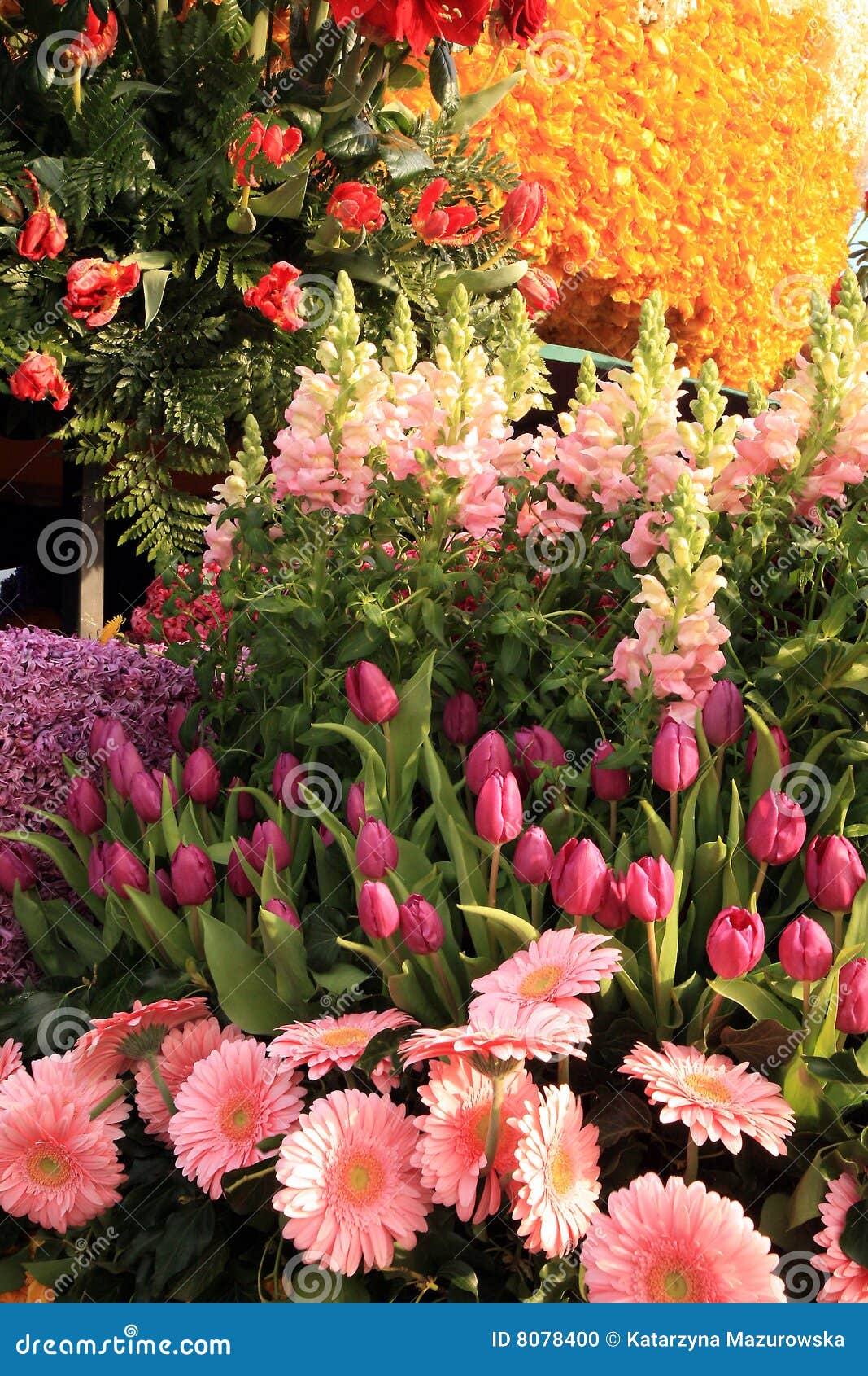 Bouquet of spring flowers stock photo. Image of beautiful - 8078400