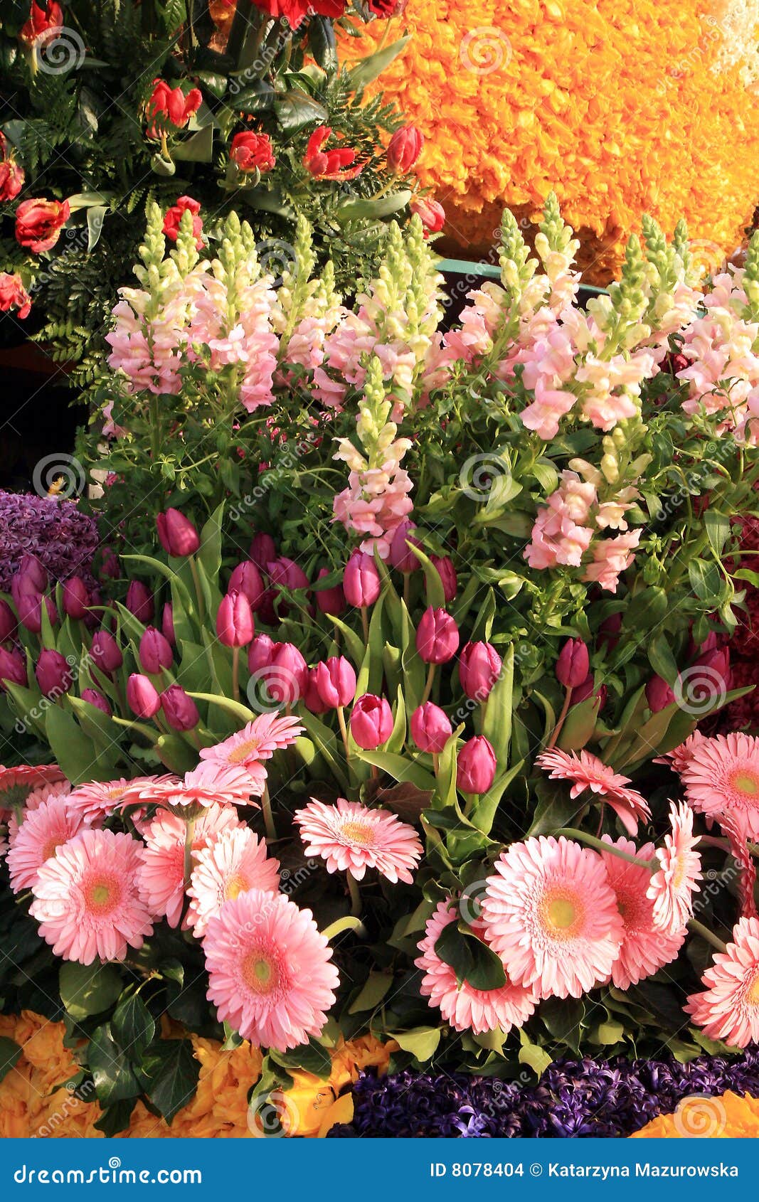 Bouquet of spring flowers stock photo. Image of decorated - 8078404