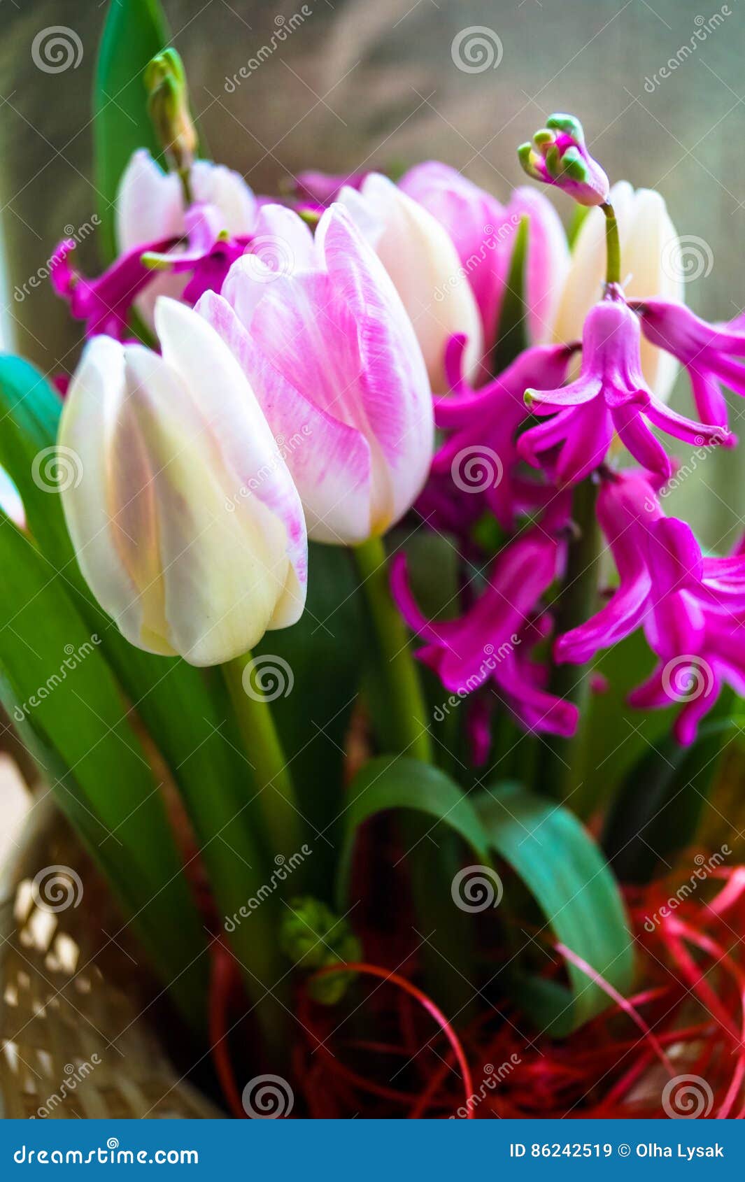 Bouquet of spring flowers stock image. Image of beauty - 86242519