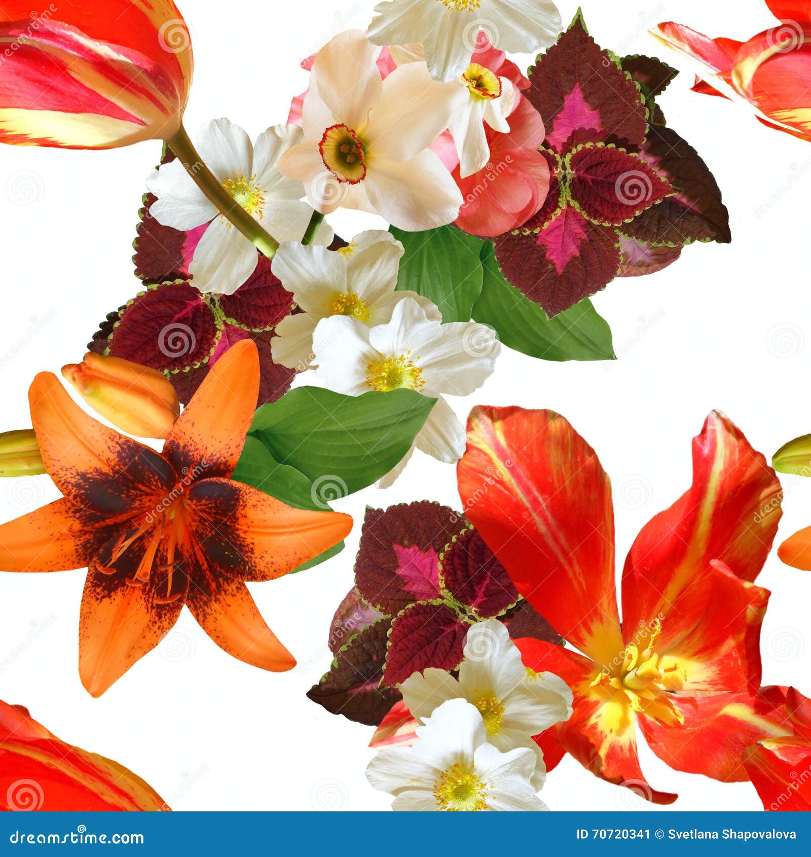 Bouquet of Spring Flowers on a White Background Seamless Stock ...