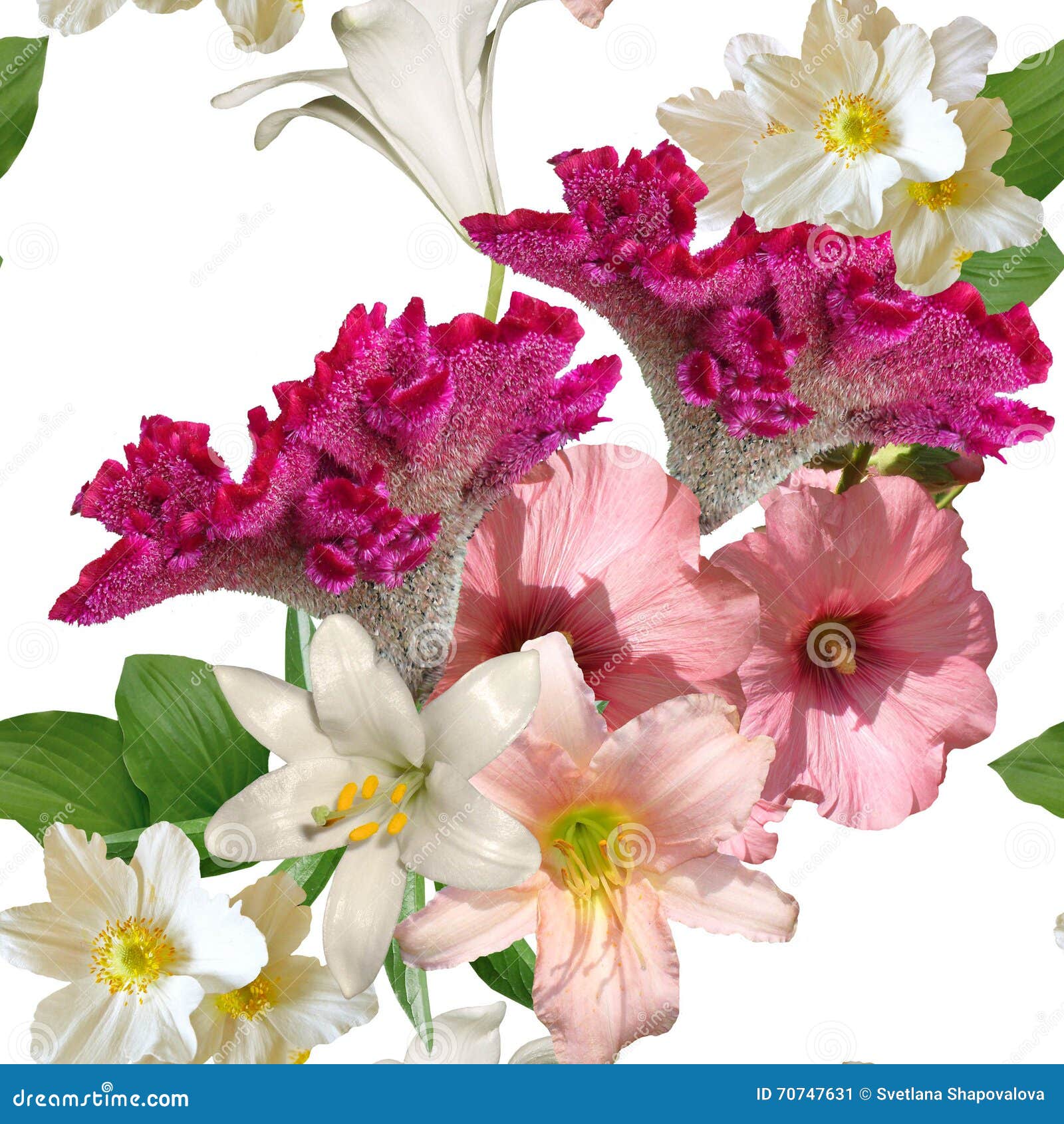 Bouquet of Spring Flowers on a White Background Seamless Stock ...