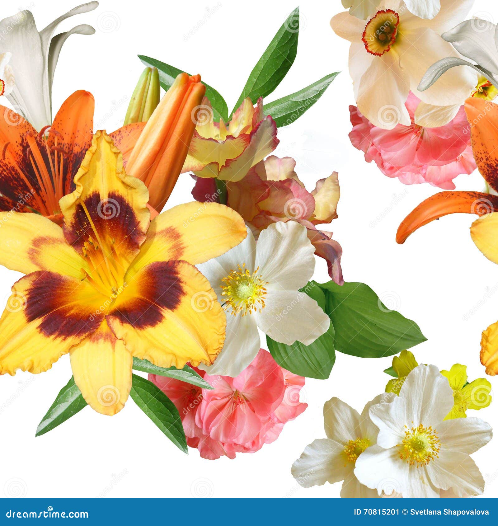 Bouquet of Spring Flowers on a White Background Seamless Stock ...