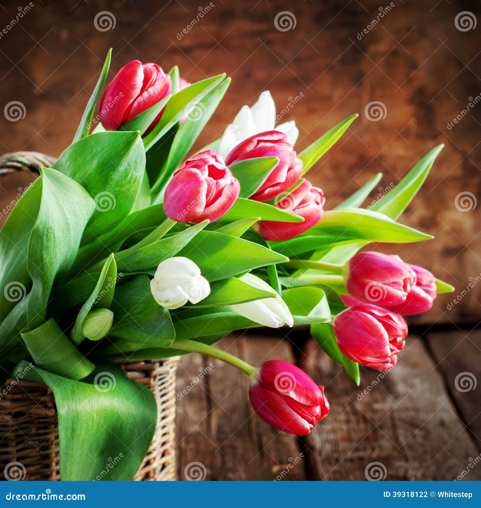 Bouquet of Spring Tulips, Square Stock Photo - Image of celebration ...