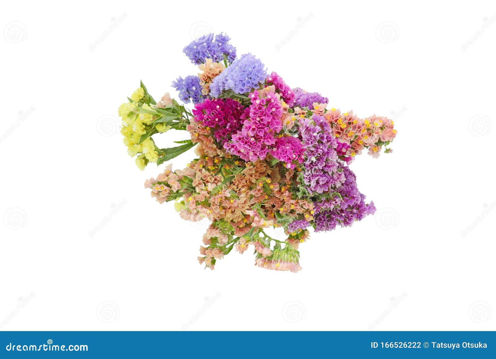 Bouquet of Statice in a White Background Stock Photo - Image of angle ...