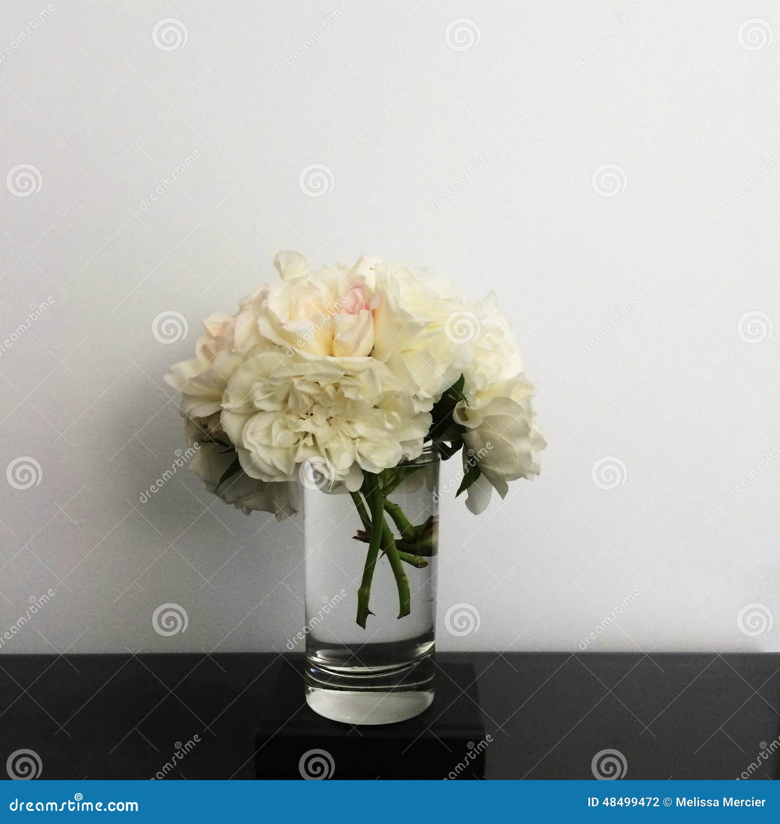 Bouquet of tea roses stock photo. Image of pretty, nature - 48499472