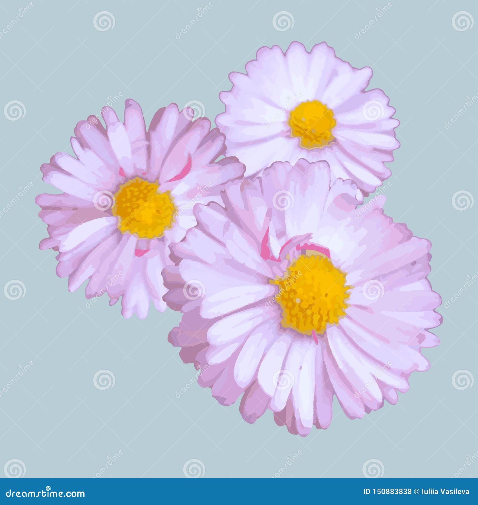 Bouquet of Three Different Realistic Daisies Stock Vector ...