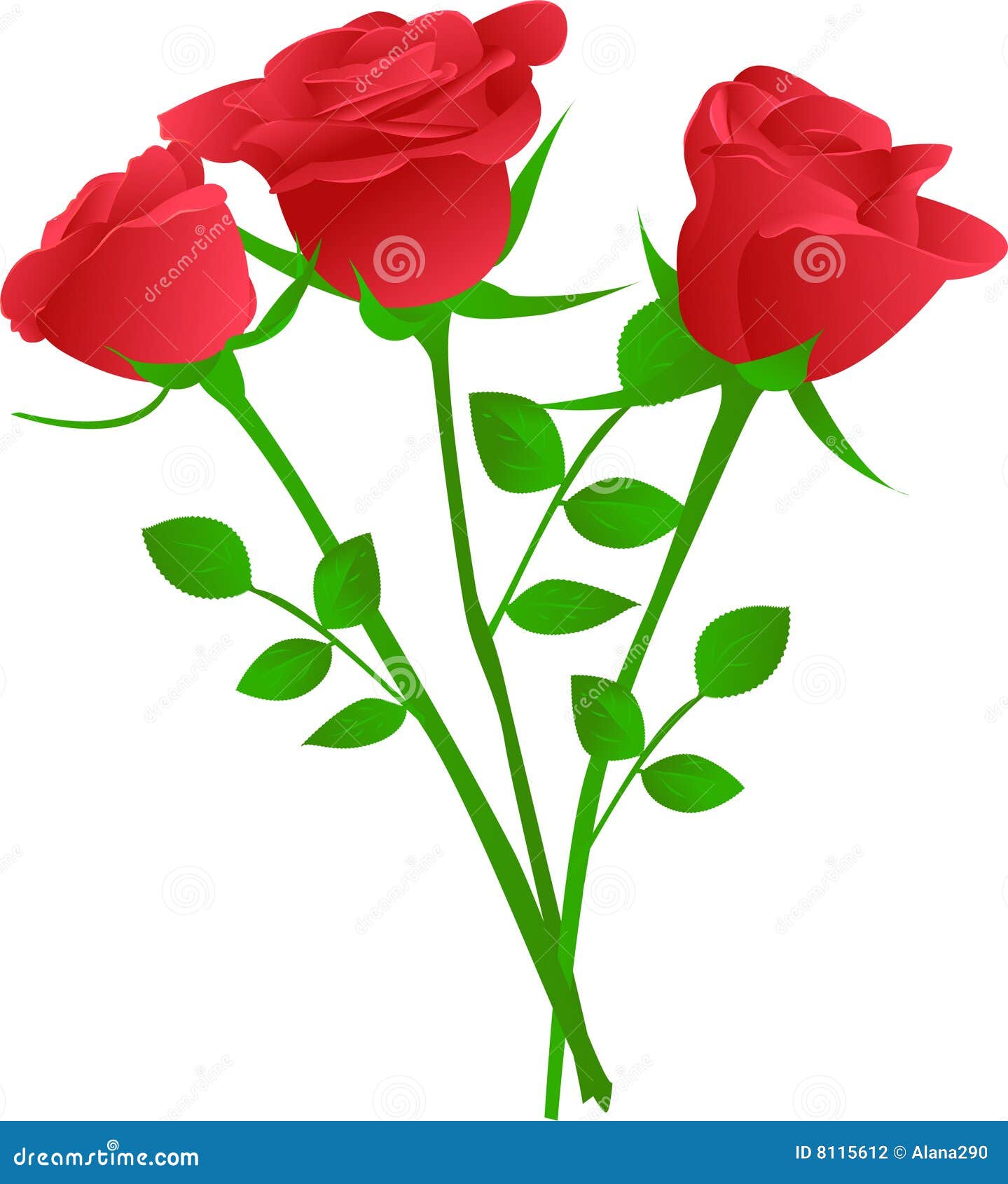 Bouquet of three red rose stock vector. Illustration of petal - 8115612