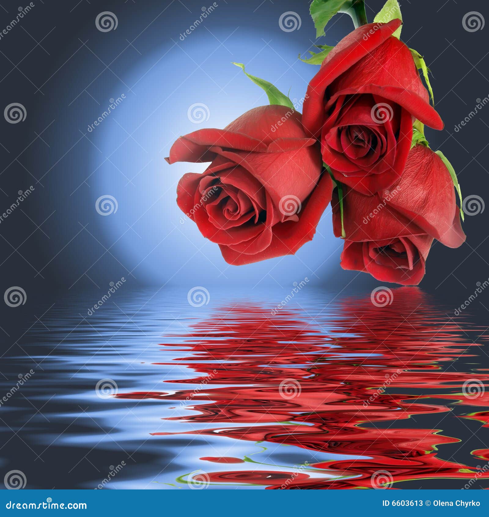 Bouquet From Three Red Roses And Moon. Stock Image - Image: 6603613